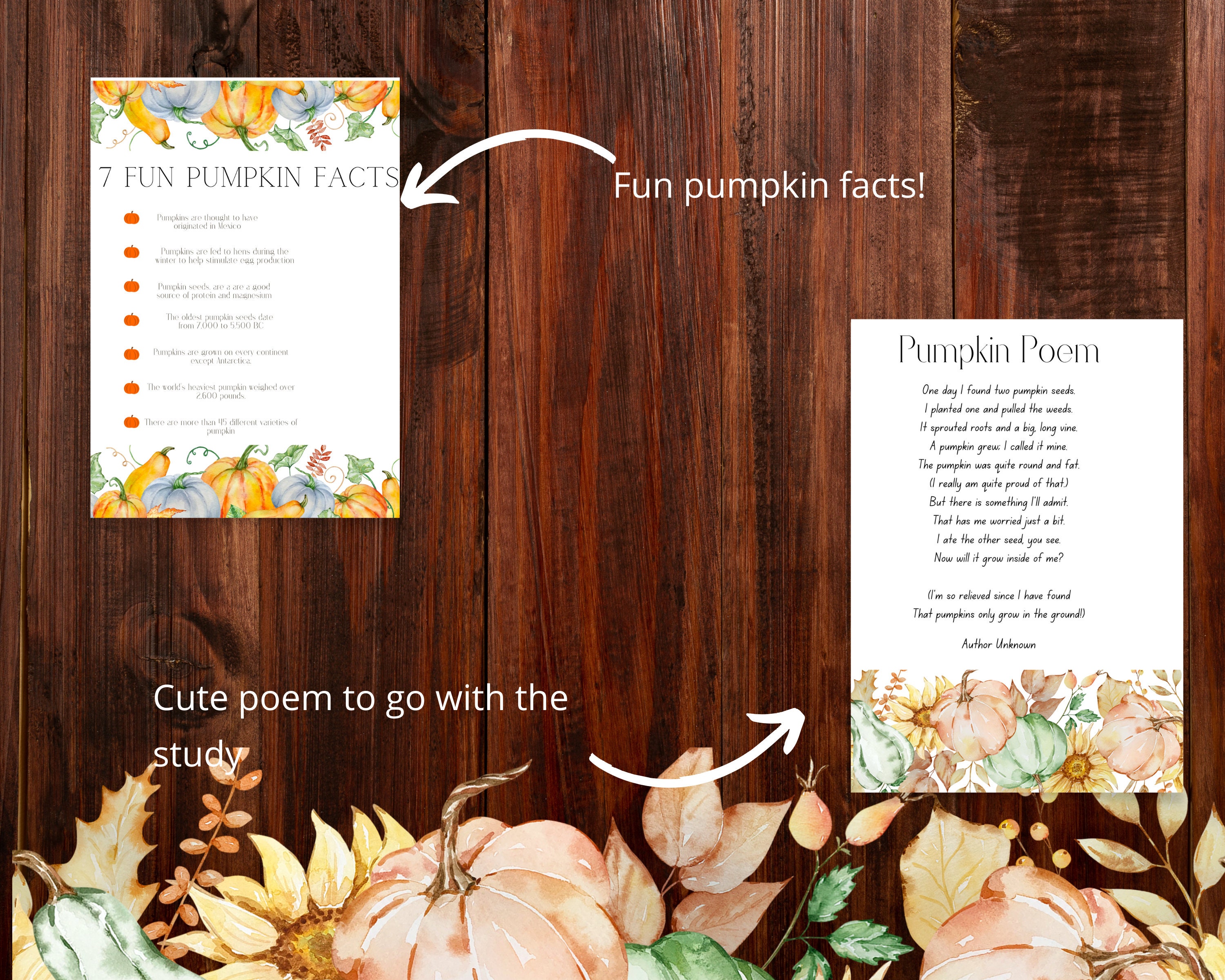 Pumpkin Unit Study INSTANT DOWNLOAD Fall Study - Etsy