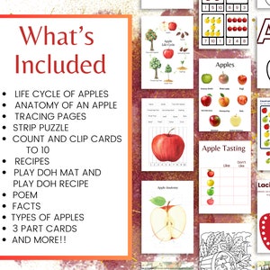 Apple Unit Study Bundle, Digital Download - Etsy