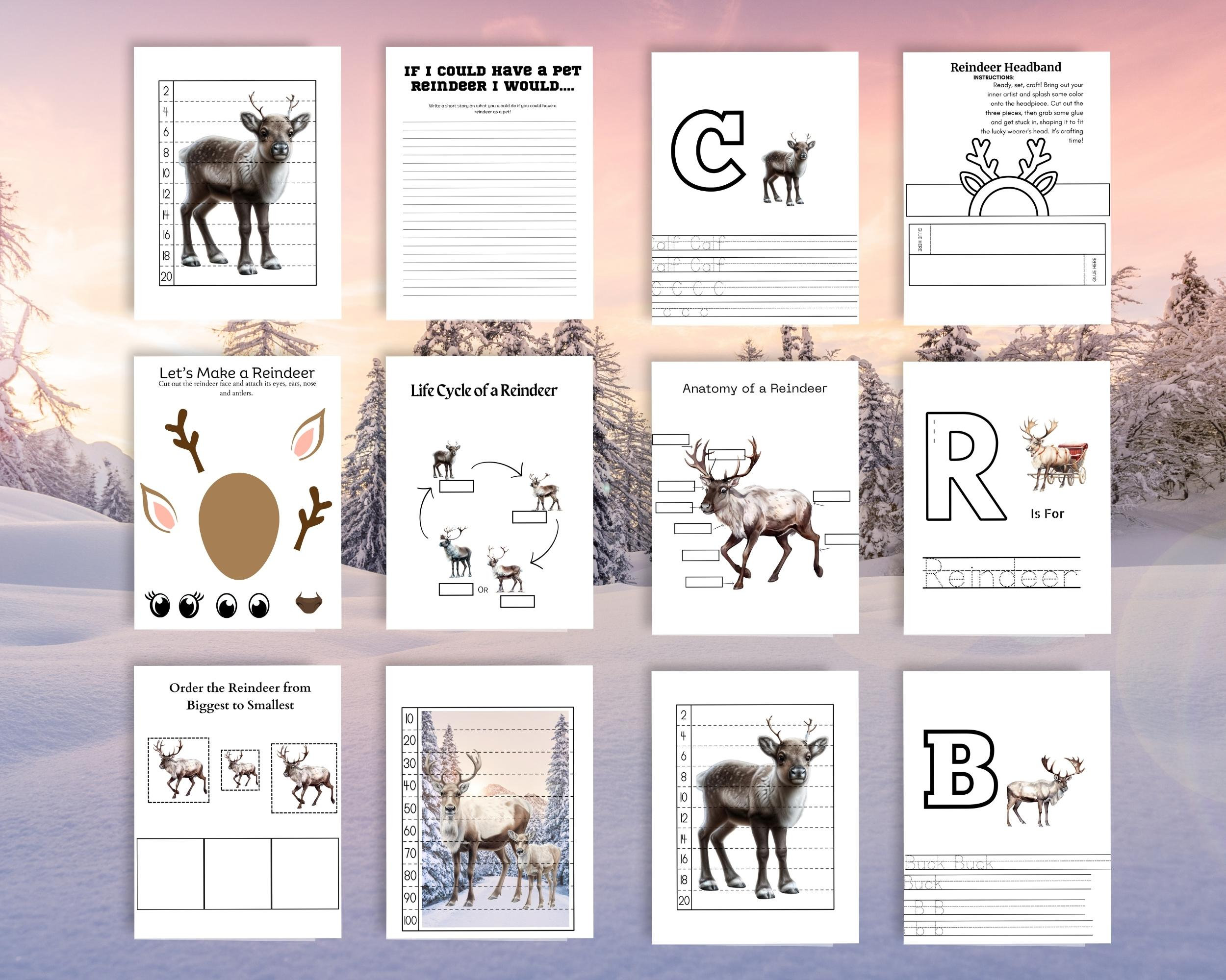 Reindeer Unit Study | Homeschool Printable | Nature Study | Instant ...