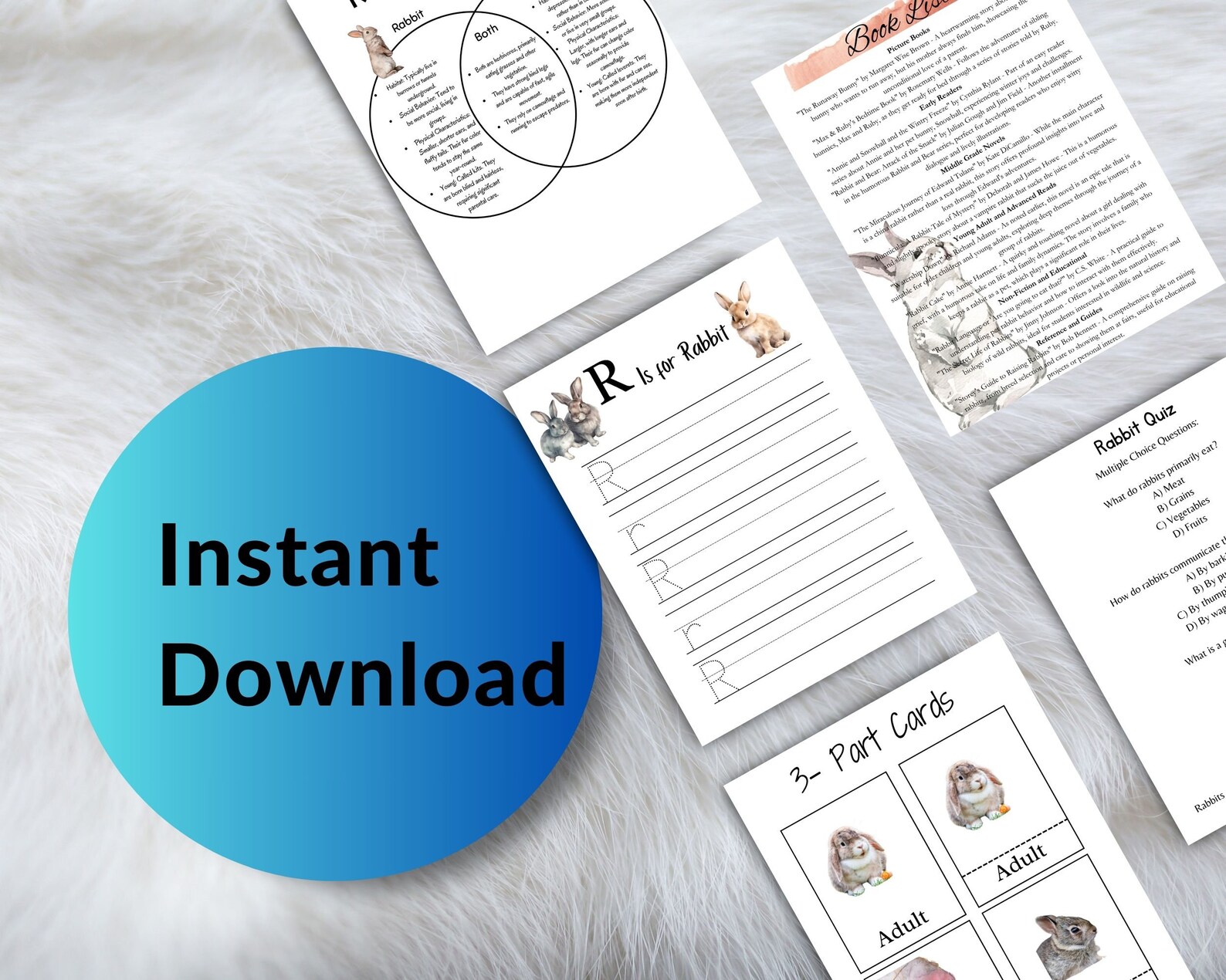 Rabbit Unit Study| Bunny| Homeschool Printable | Printables for Kids ...