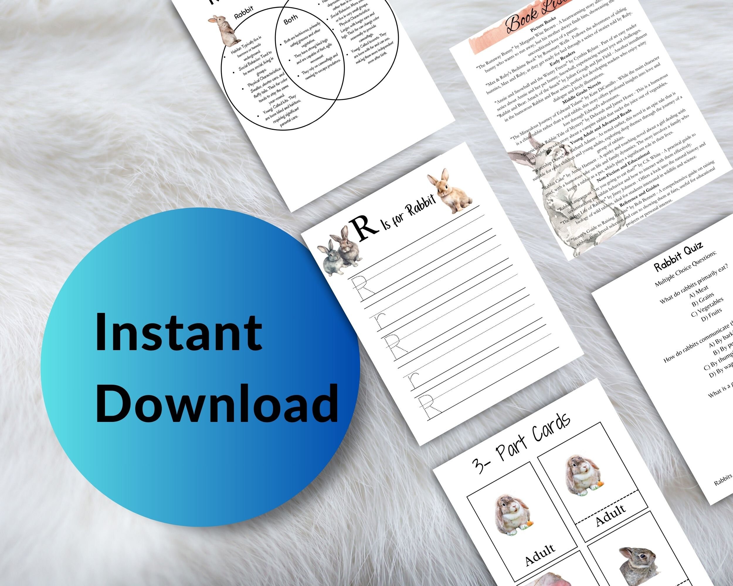 Rabbit Unit Study| Bunny| Homeschool Printable | Printables for Kids ...