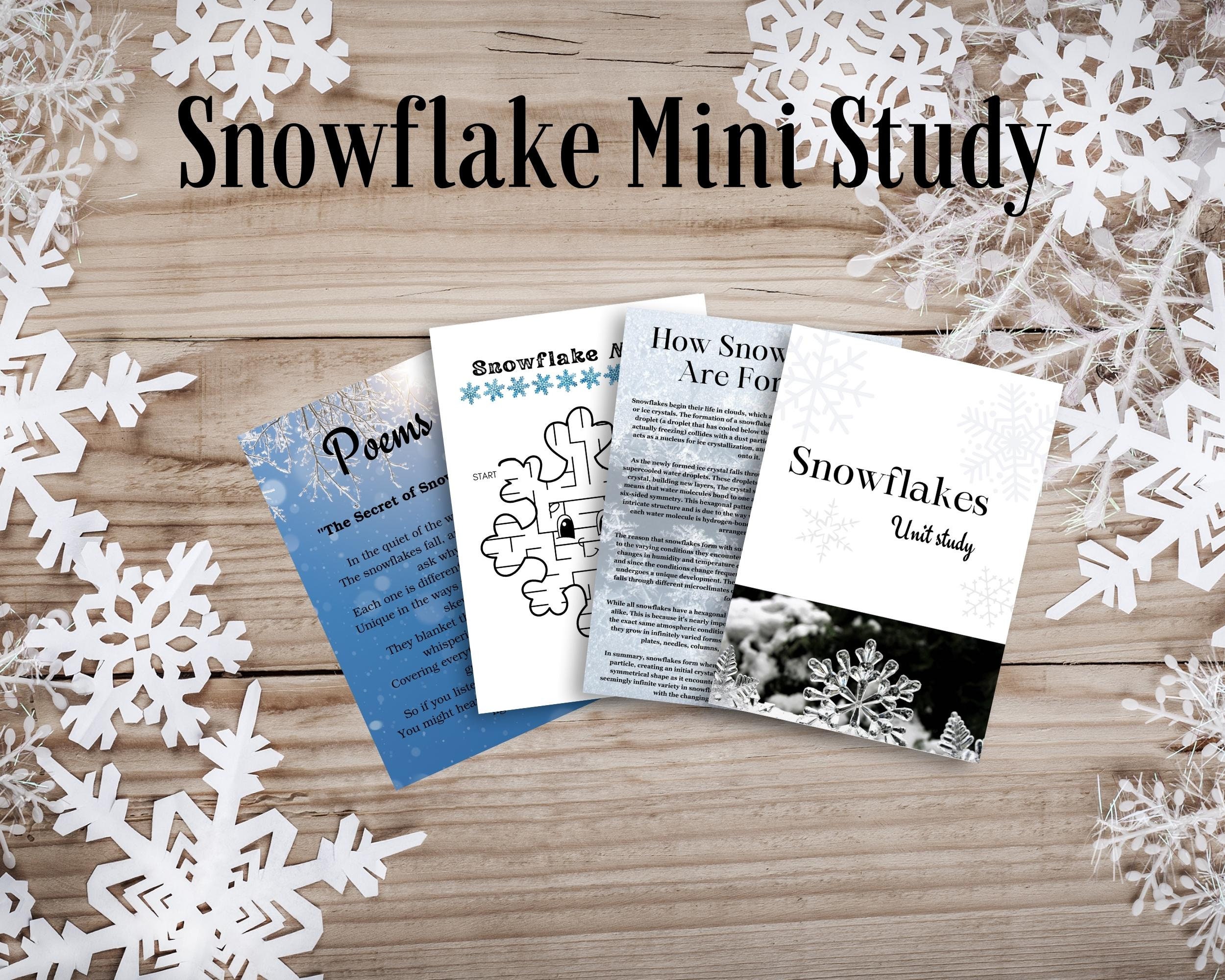Mini Snowflake Unit Study |winter Kids Activity | Snow | Homeschool ...