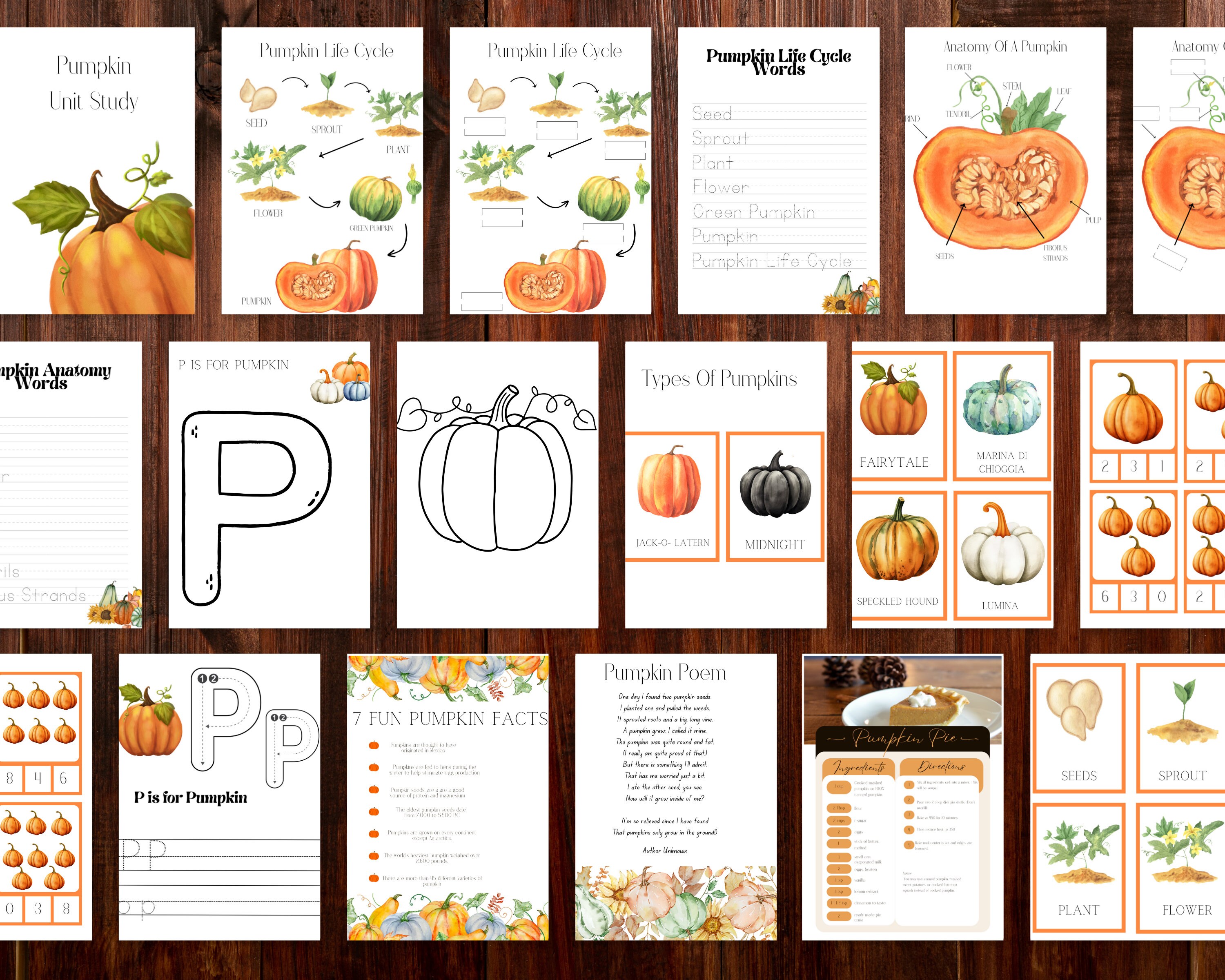 Pumpkin Unit Study INSTANT DOWNLOAD Fall Study - Etsy