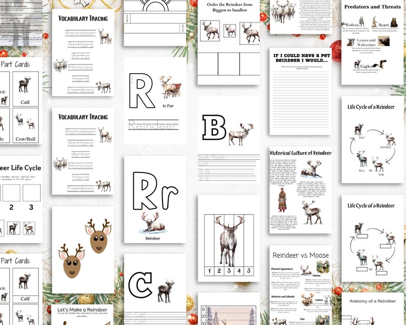 Reindeer Unit Study Homeschool Printable Nature Study Instant Download ...