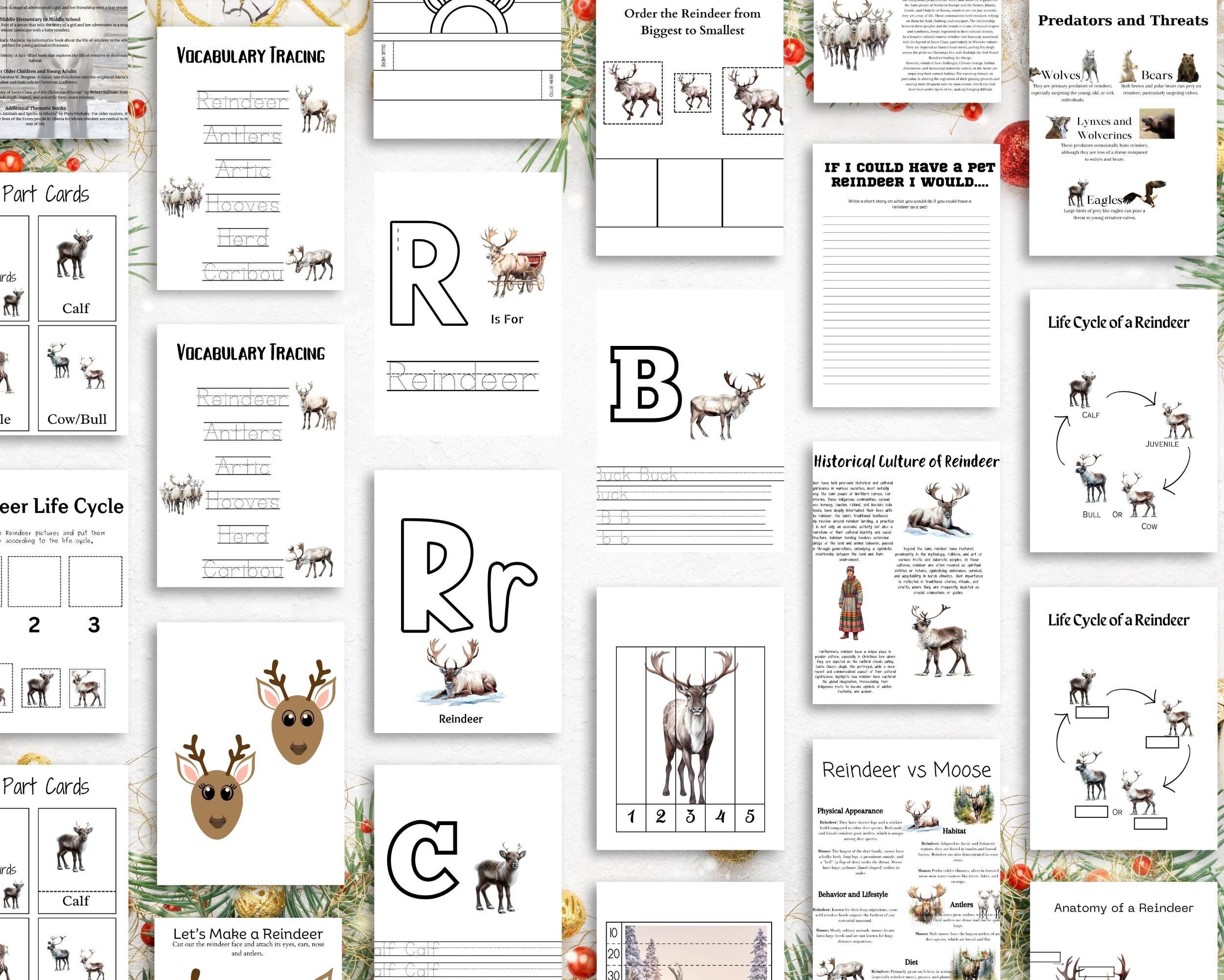 Reindeer Unit Study | Homeschool Printable | Nature Study | Instant ...
