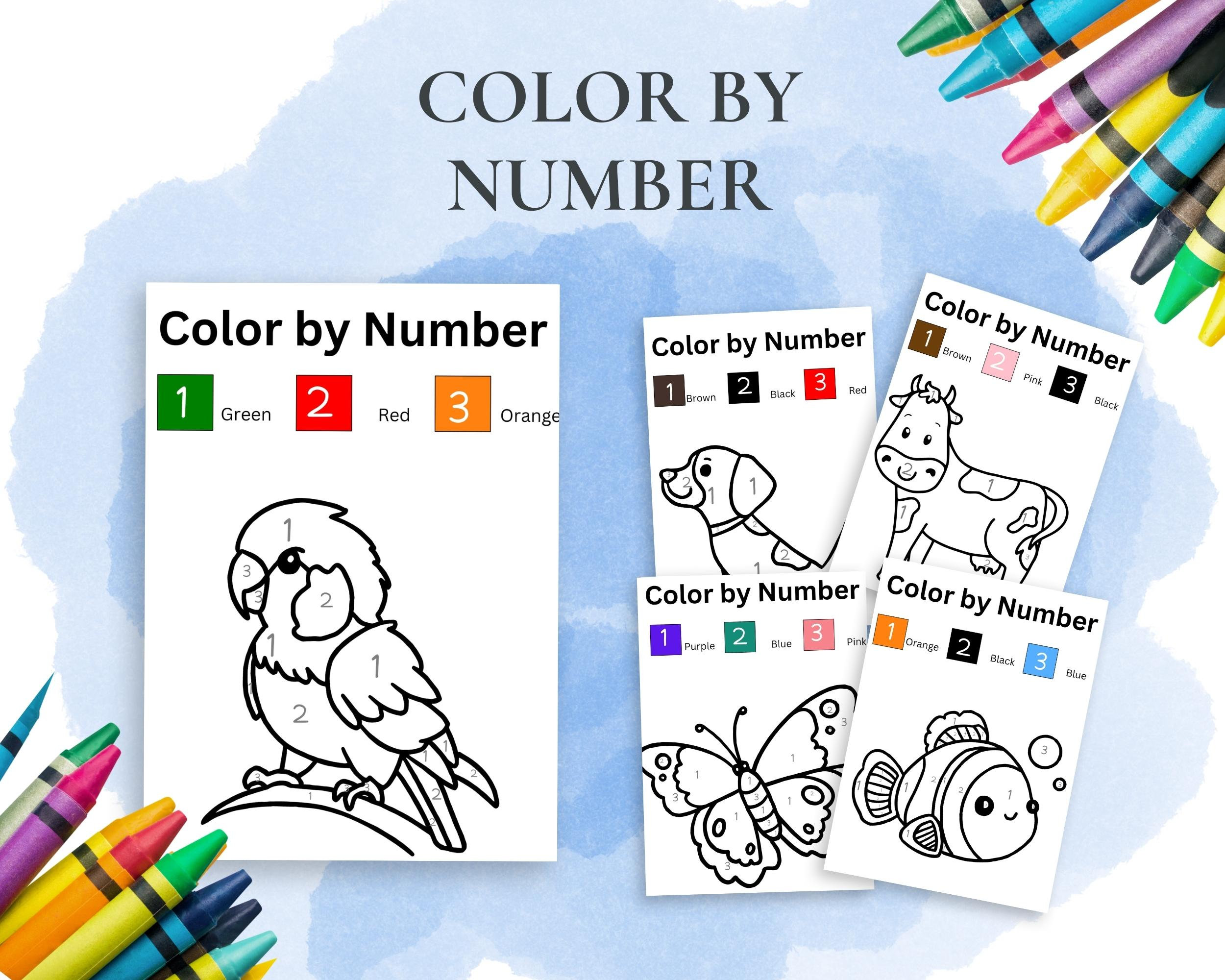 Preschool Color by Number, INSTANT DOWNLOAD - Etsy