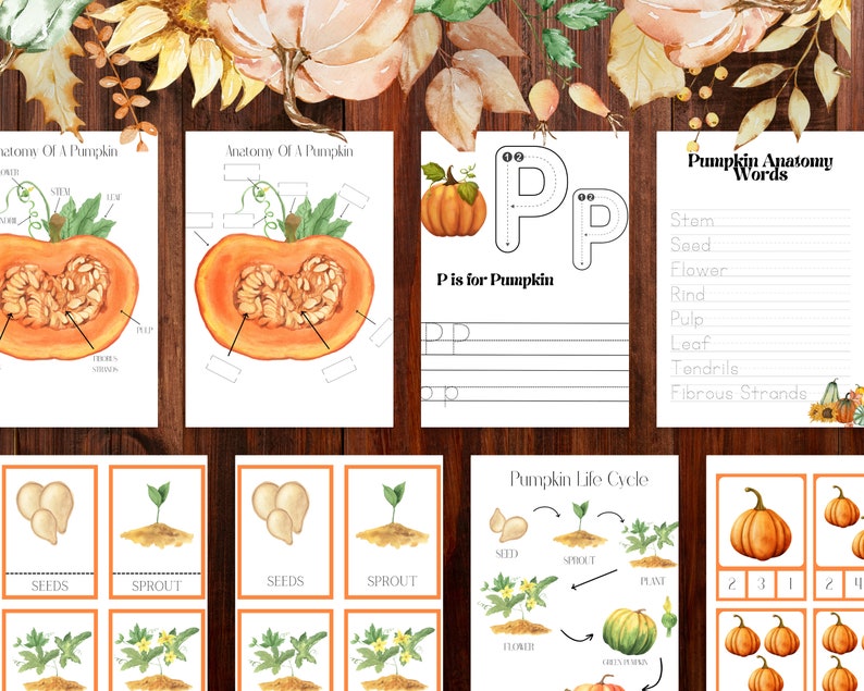 Pumpkin Unit Study INSTANT DOWNLOAD Fall Study - Etsy