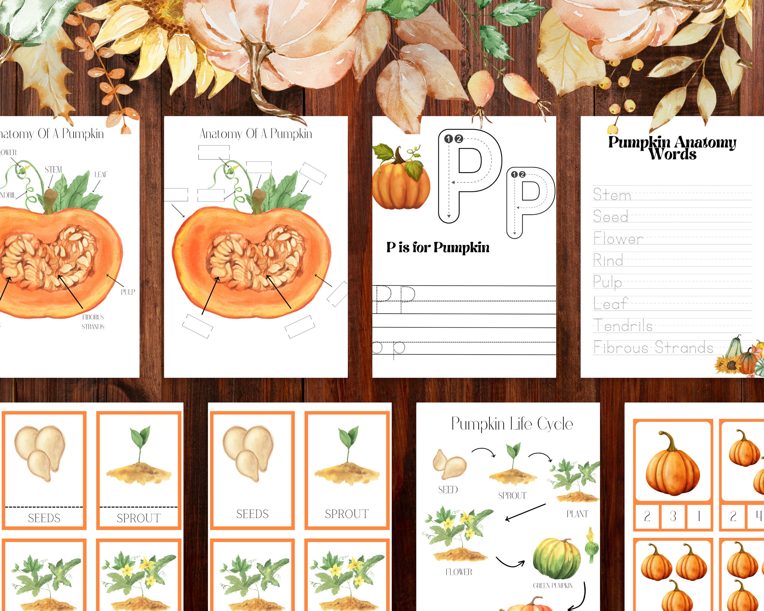 Pumpkin Unit Study INSTANT DOWNLOAD Fall Study - Etsy