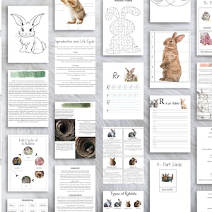 Rabbit Unit Study| Bunny| Homeschool Printable | Printables for Kids ...