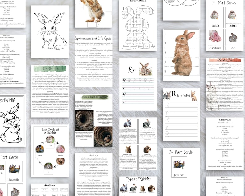 Rabbit Unit Study| Bunny| Homeschool Printable | Printables for Kids ...