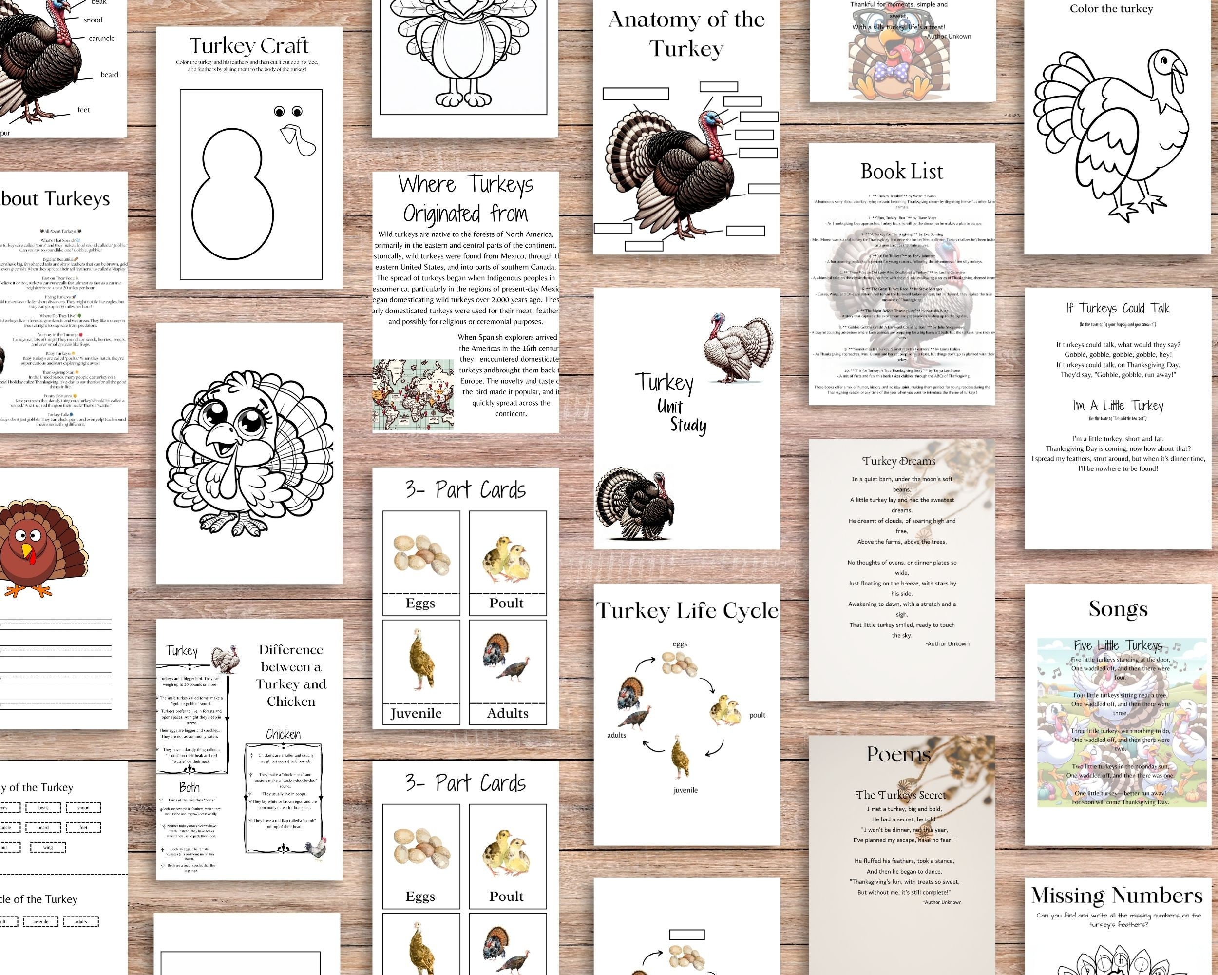 Turkey Unit Study INSTANT DOWNLOAD - Etsy