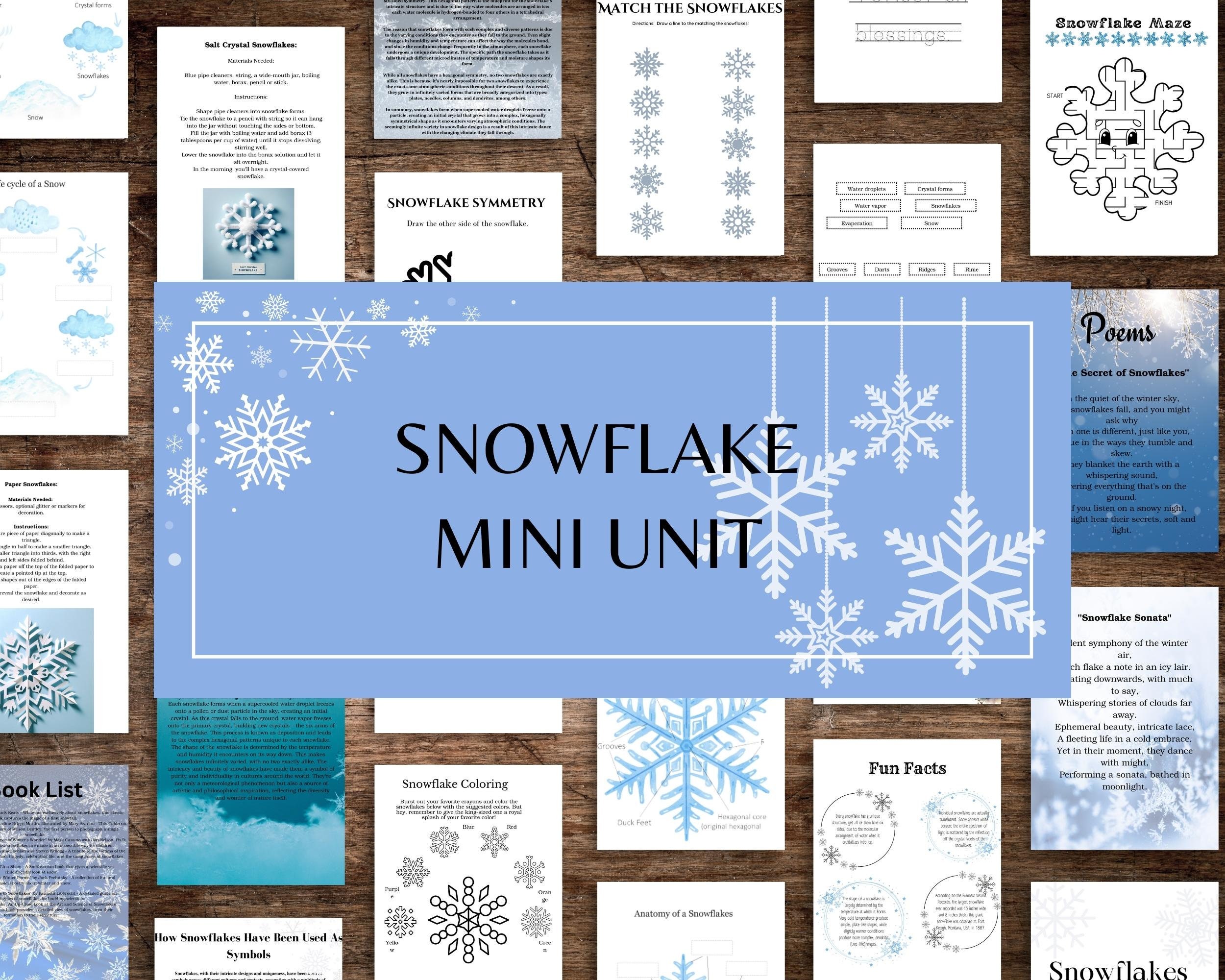 Mini Snowflake Unit Study |winter Kids Activity | Snow | Homeschool ...
