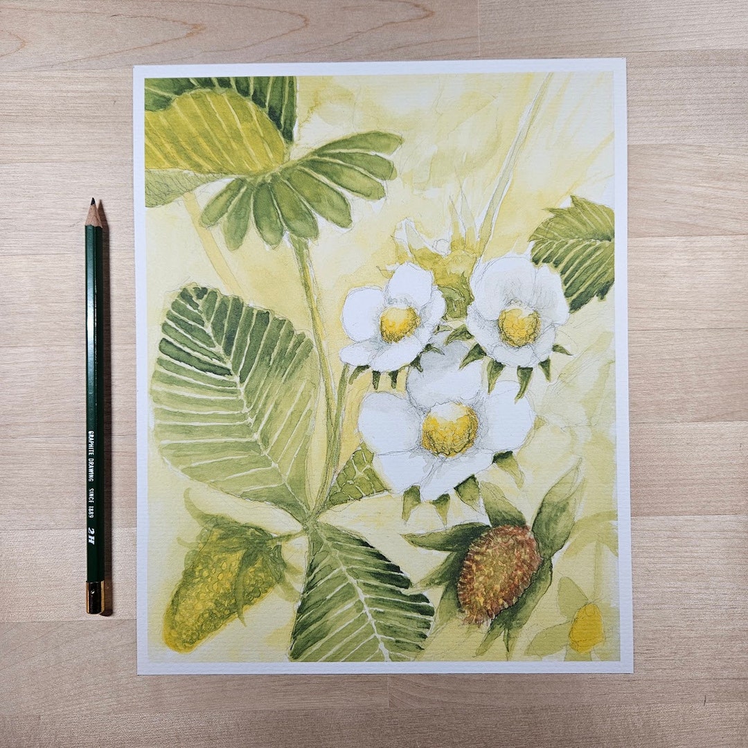 Muted Watercolor Strawberry Plant Print Soft Floral Art Farmhouse Decor ...