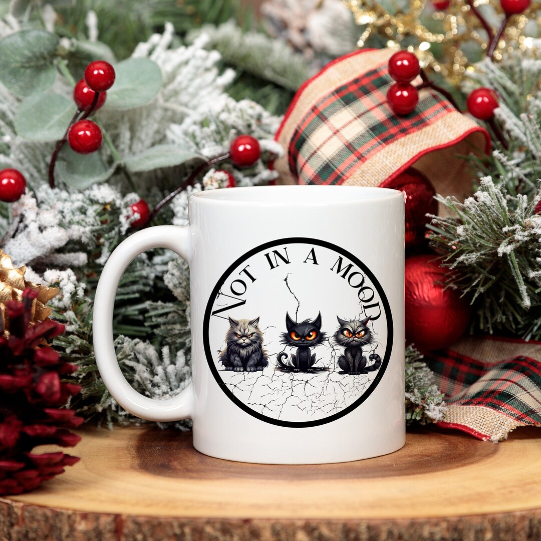 Grumpy Moody Whimsical Cat Owner Lover Mug, Sarcastic Funny Humor ...