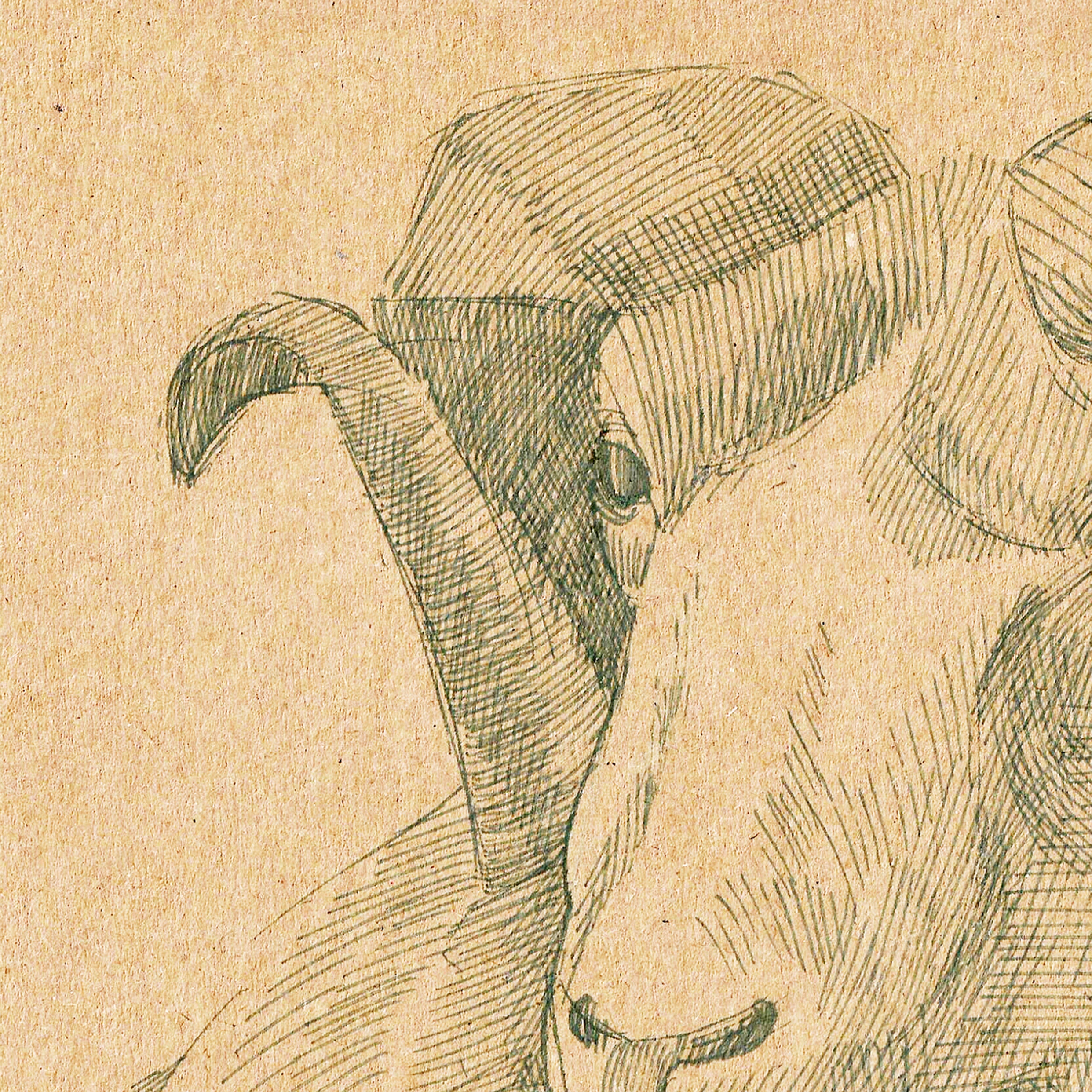 PRINTABLE Vintage Ram Drawing Farmhouse Decoration Art Download - Etsy