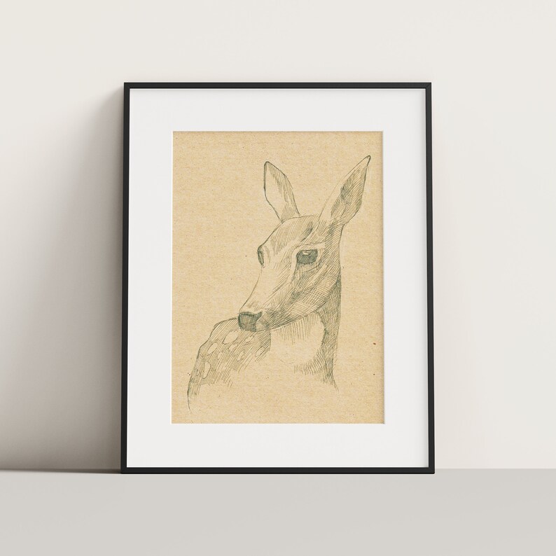 Line Art Roe Deer, Digital Download, Vintage Art, Kraft Paper, Printed ...
