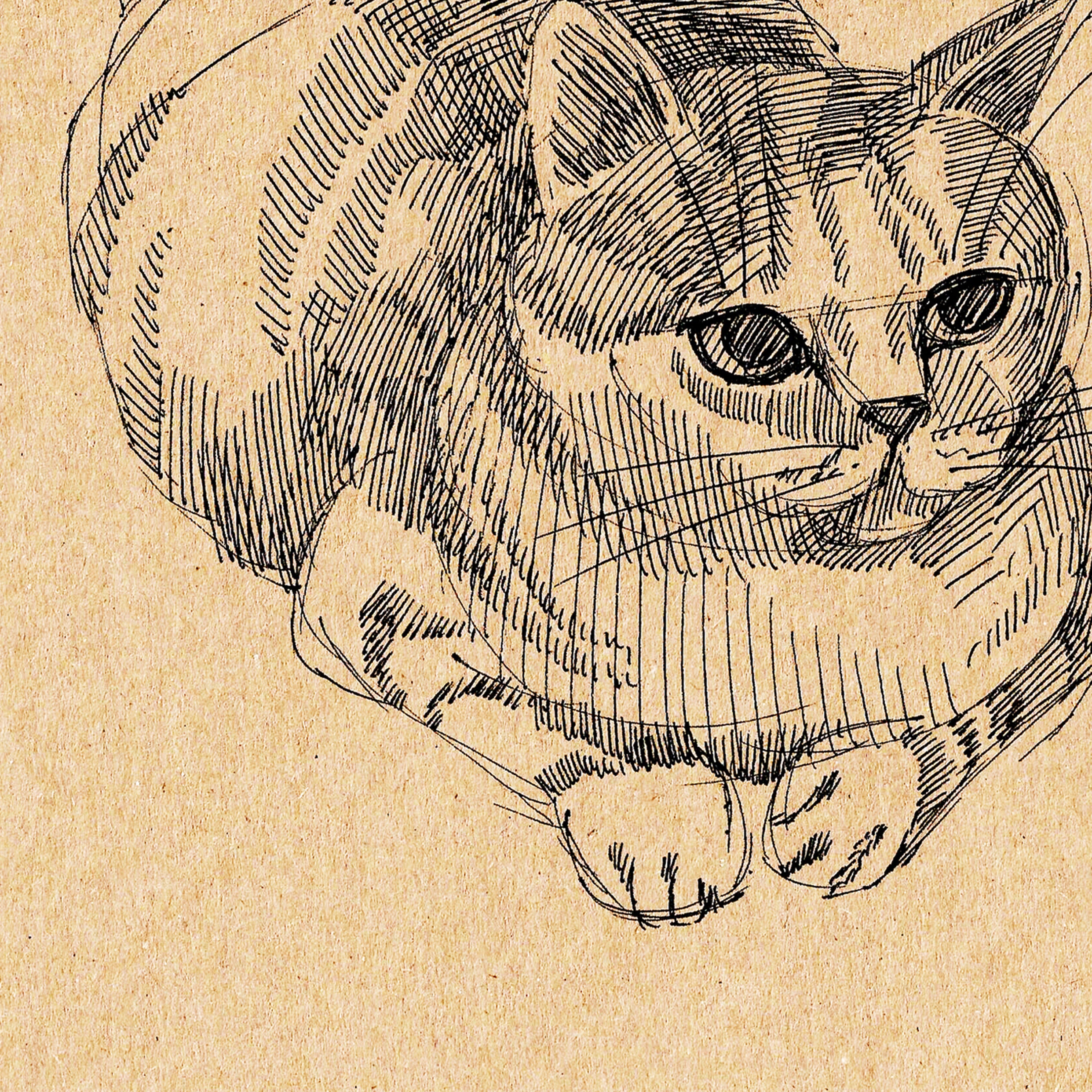 PRINTABLE, Cute Cat. Digital Copy of Original Graphics, Black Gel Pen ...