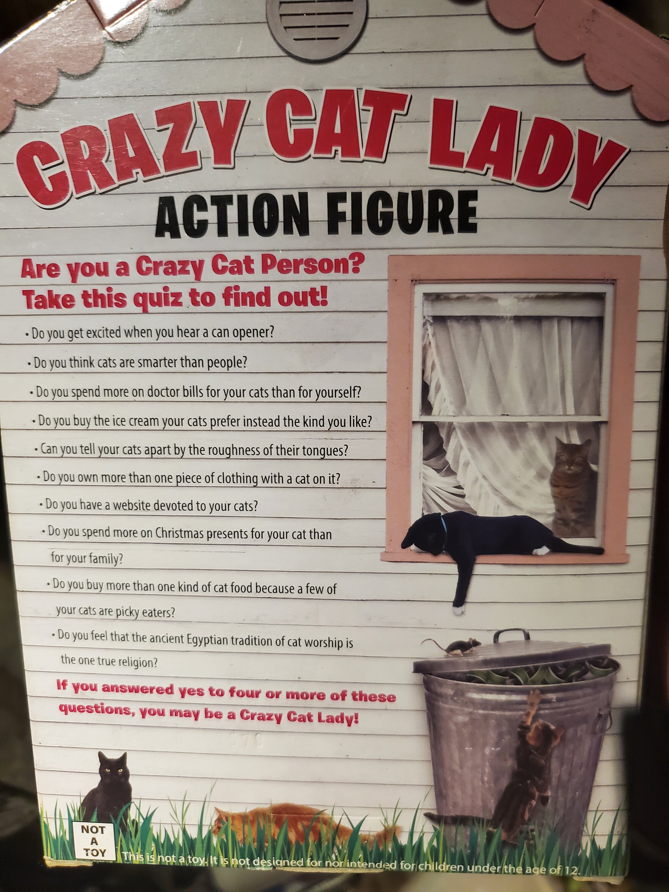 Crazy Cat Man Action Figure