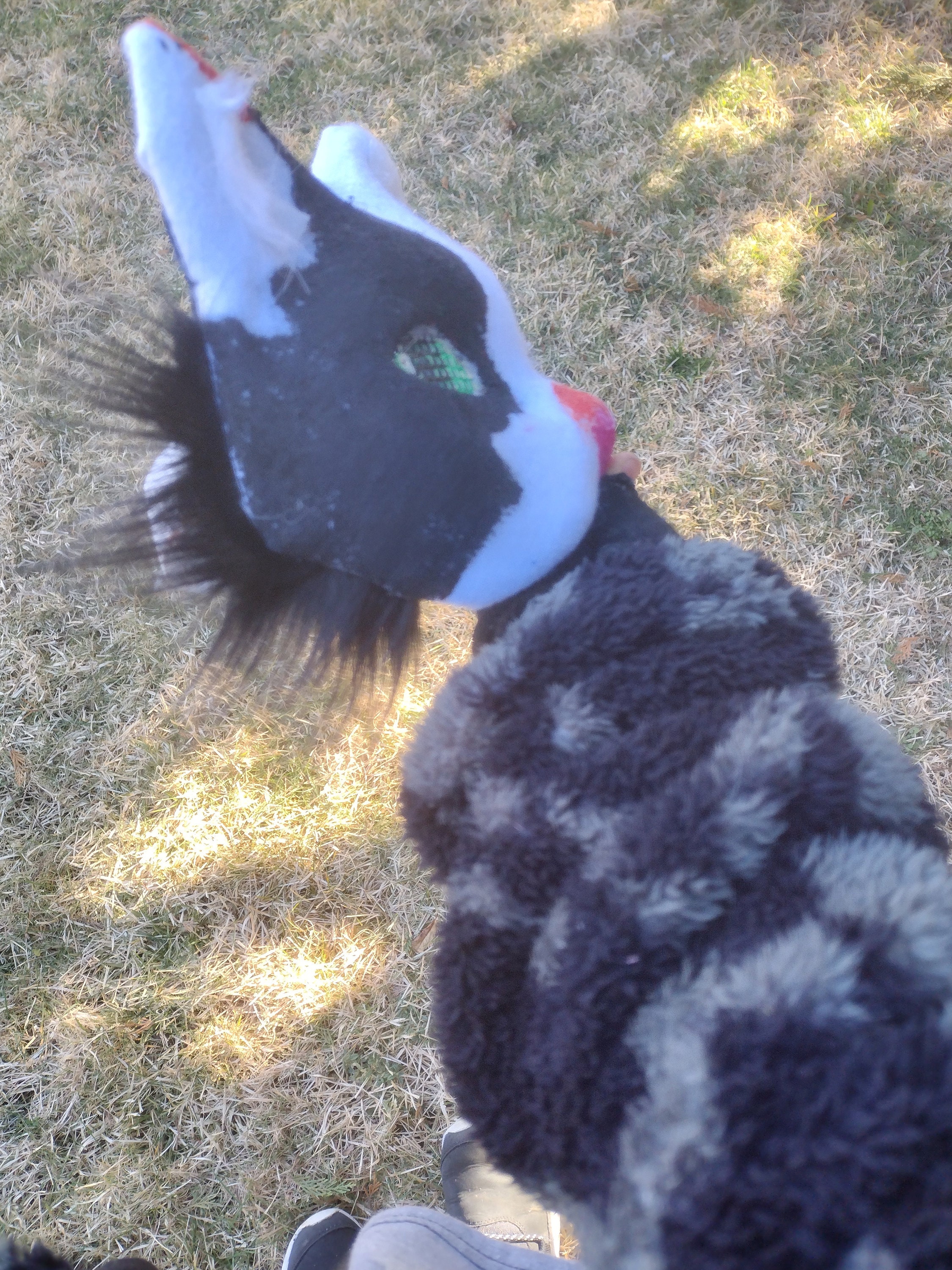 Calico Cat Therian Mask - Etsy