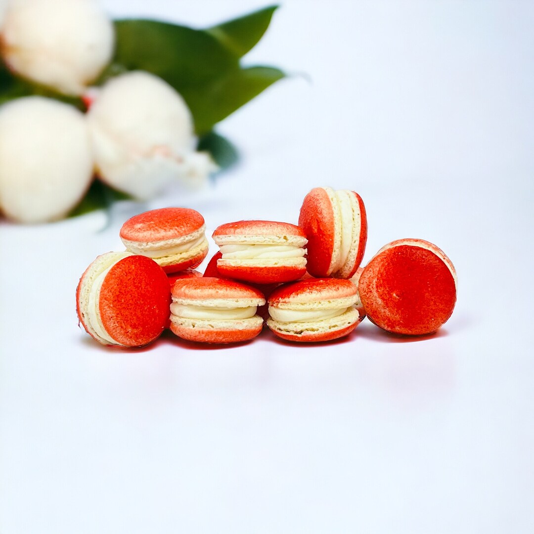 25 Pack Luscious Lychee Delight French Macarons - Etsy