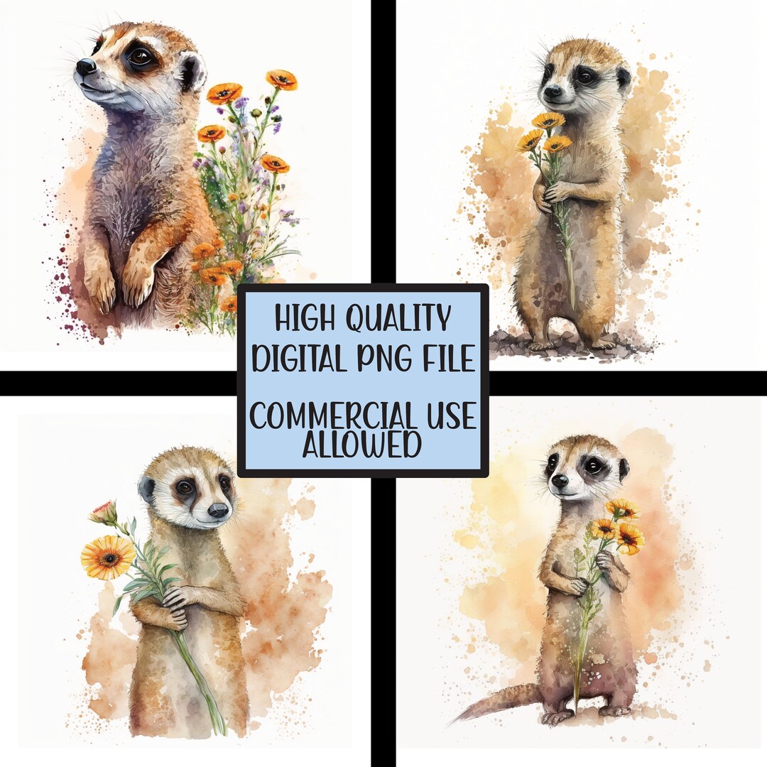 Four Meerkat Colour Splash Clipart - - Digital Planner, Junk Journaling ...