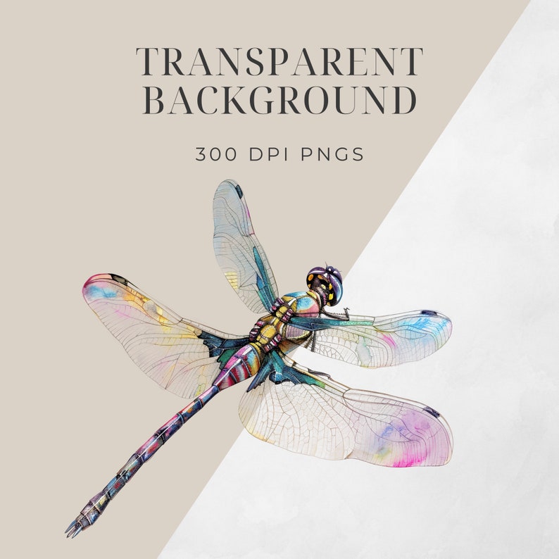 Dragonfly Png Clipart Collection Bundle, Printable Garden Insect ...