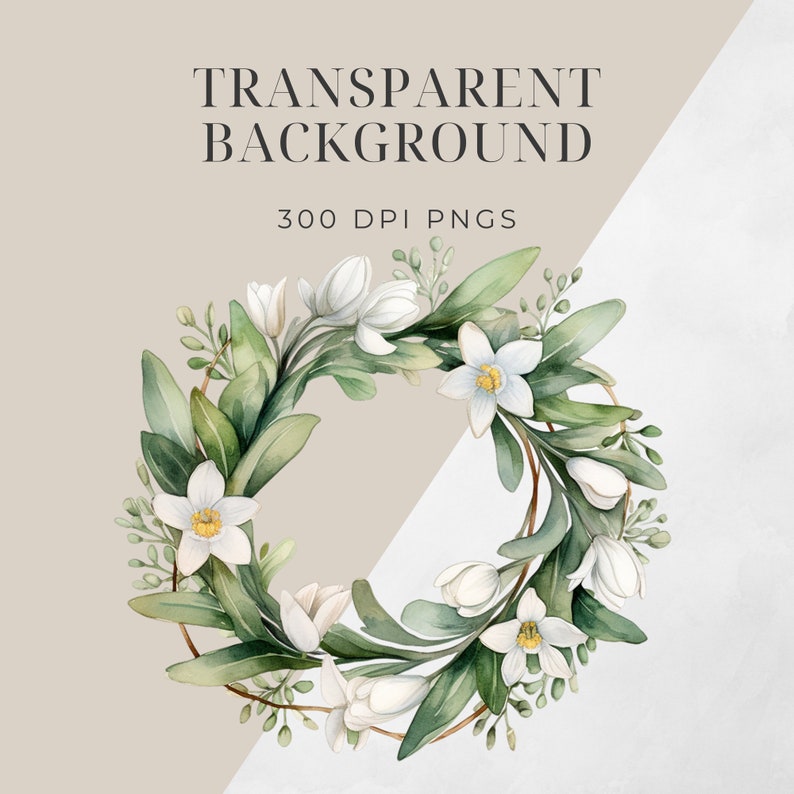 January Birth Flower Clipart, Watercolor Carnation Bouquet, Snowdrop ...