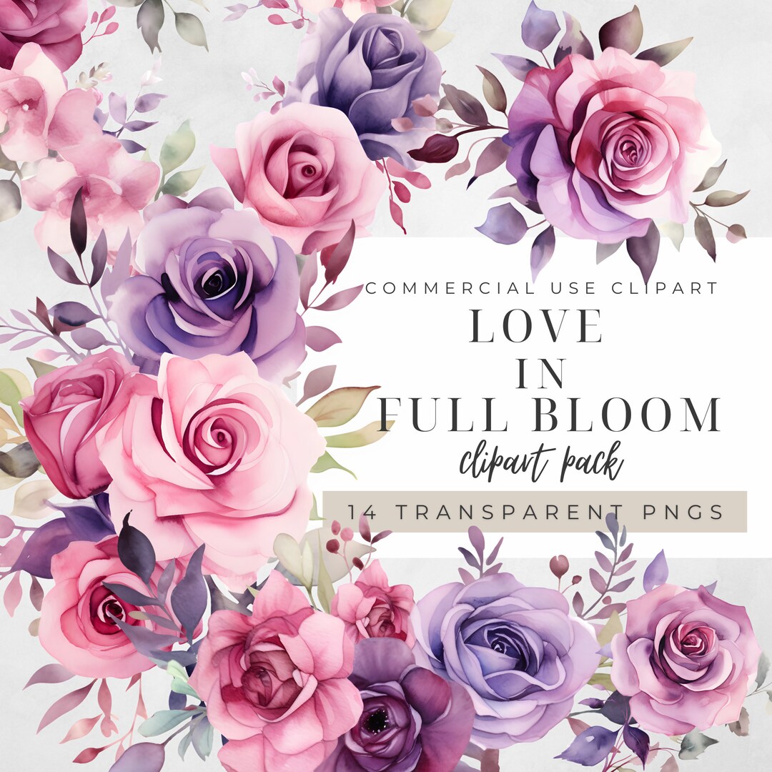 Valentine Rose Clipart, Watercolor Floral Love Bouquet, Pink Purple ...