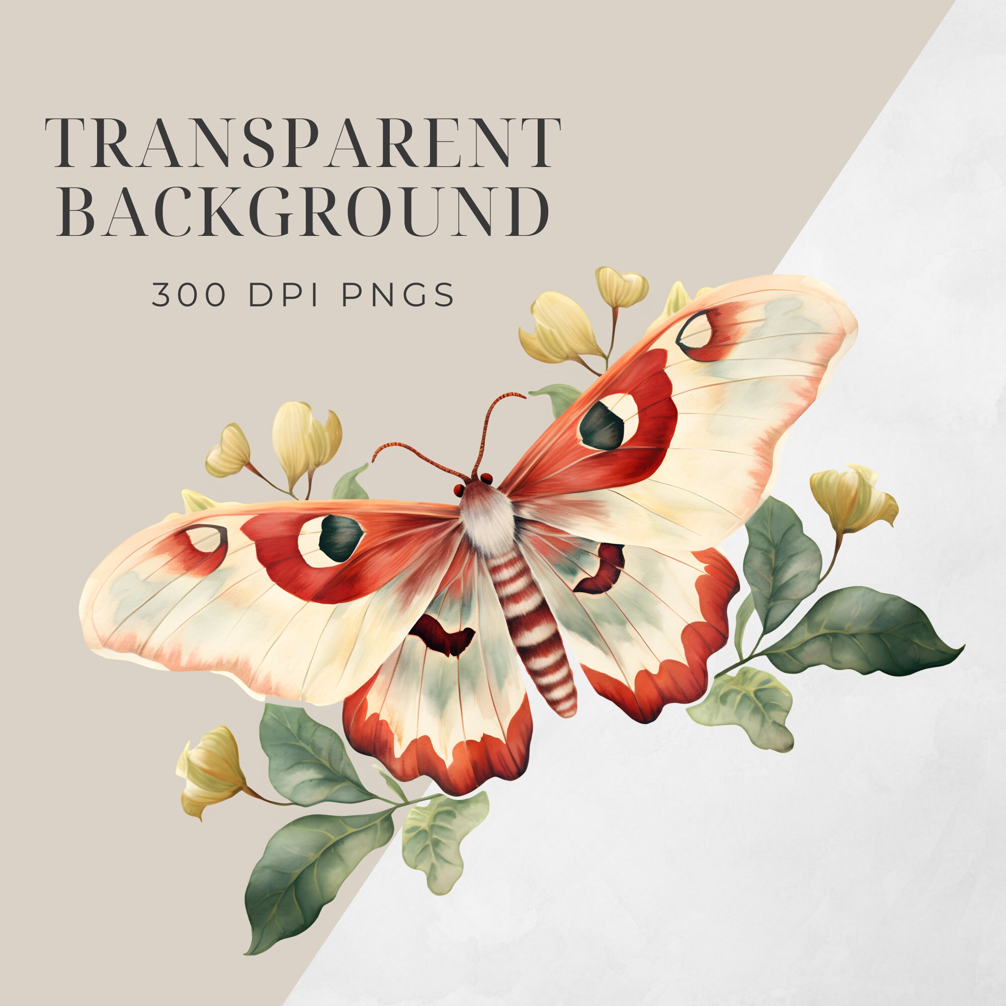 Festive Lunar Moth Clipart, SINGLE IMAGE Holiday Watercolor Art, Winter ...