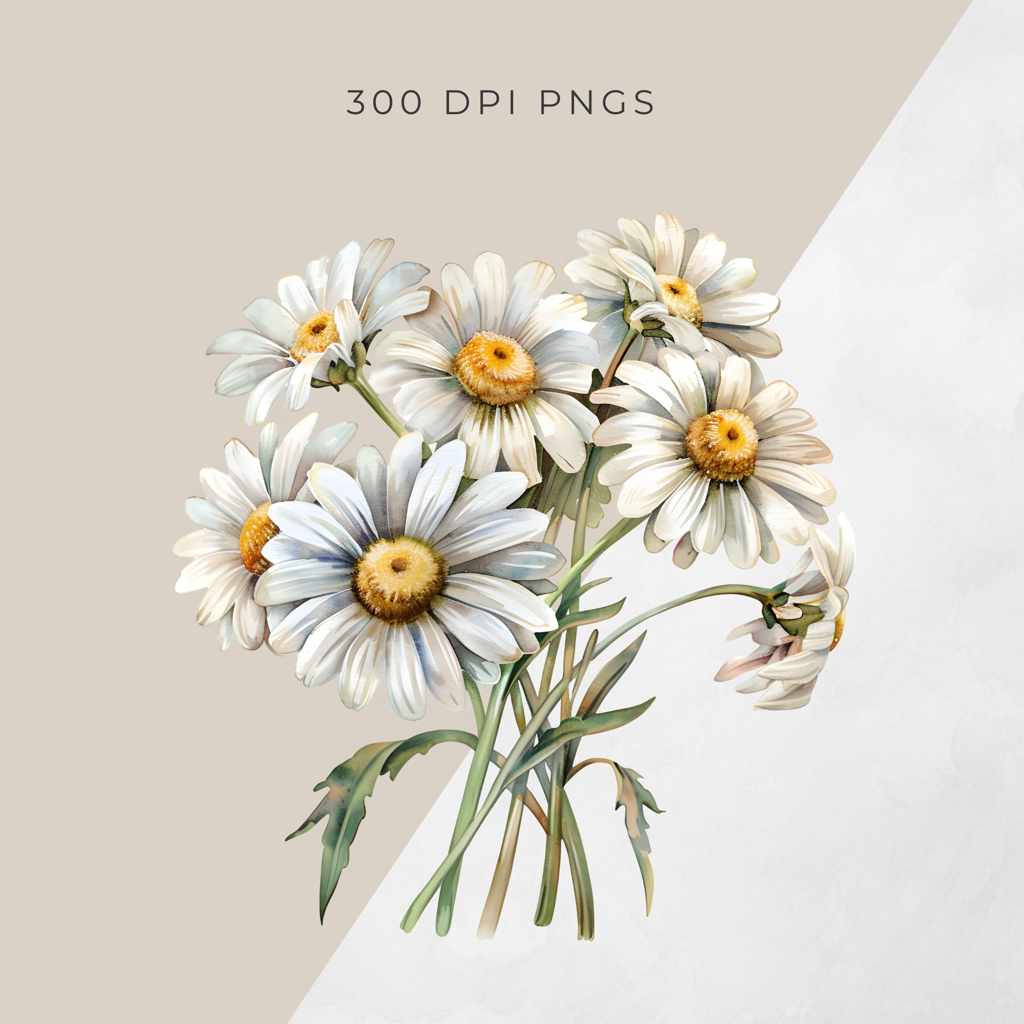 April Birth Flower Clipart, Watercolor Daisy Sweet Pea Floral Bouquet ...