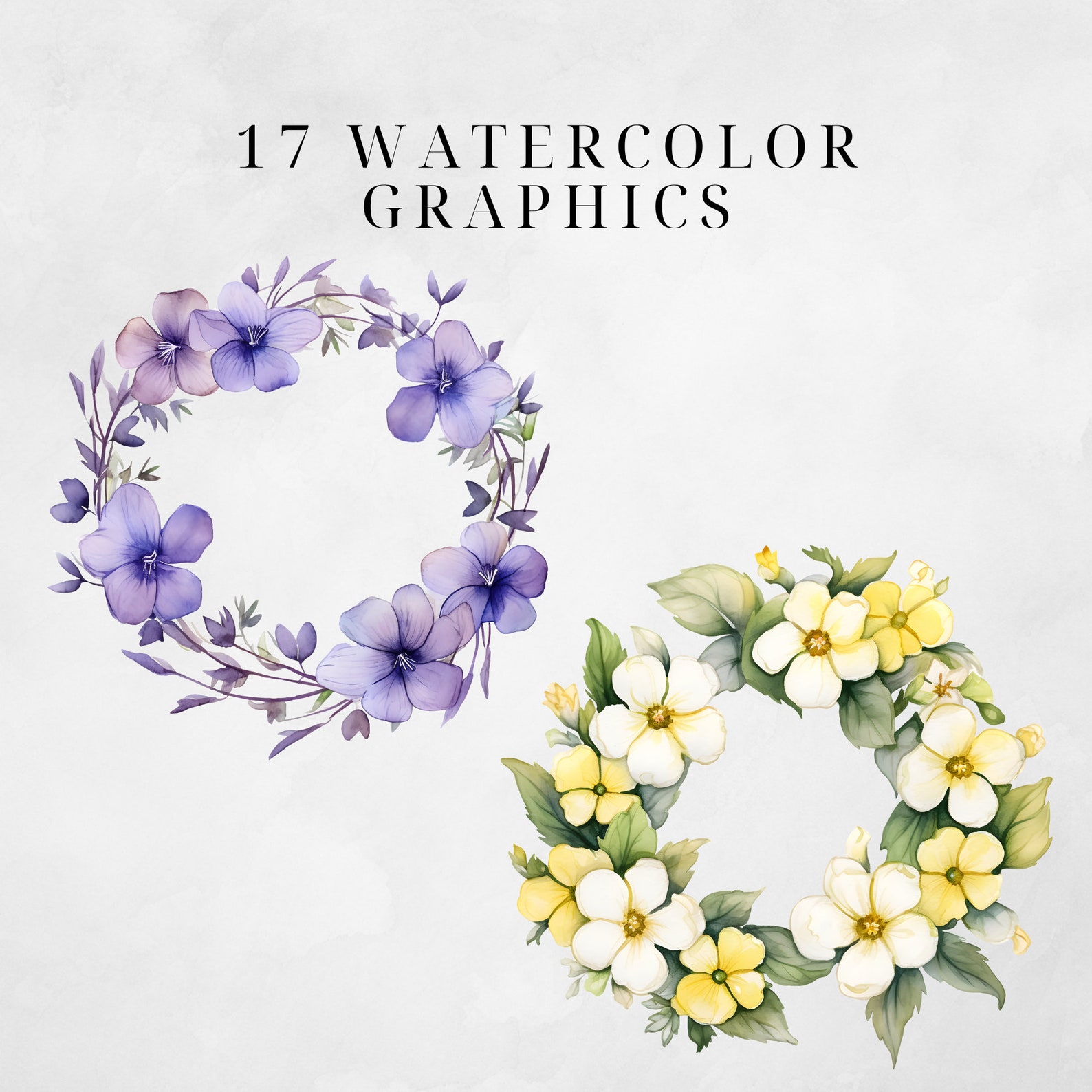 February Birth Flower Clipart, Watercolor Botanical Violet, Primrose ...