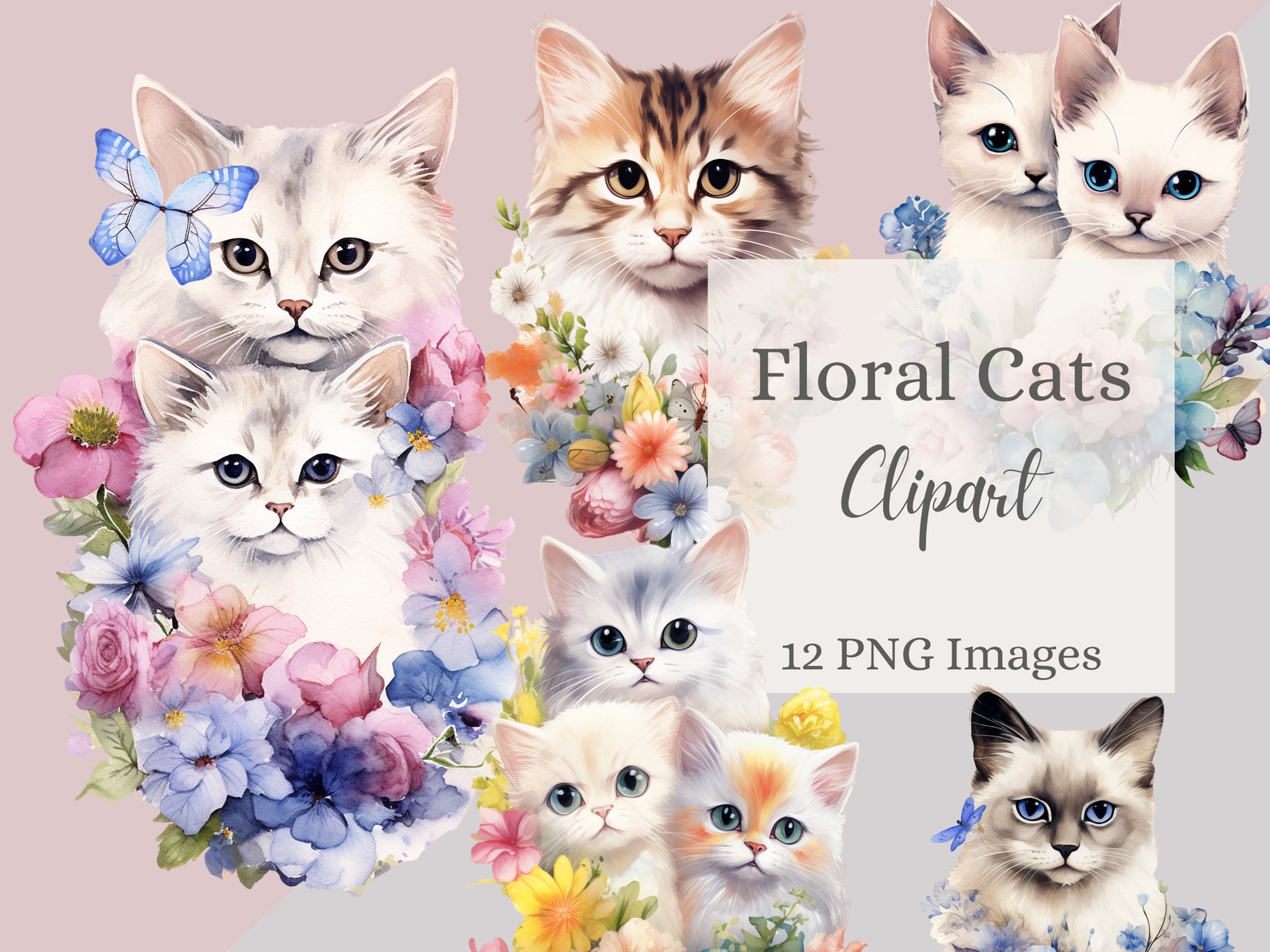 Floral Cat Clipart,wildflower Kitty Digital Graphics Watercolor ...