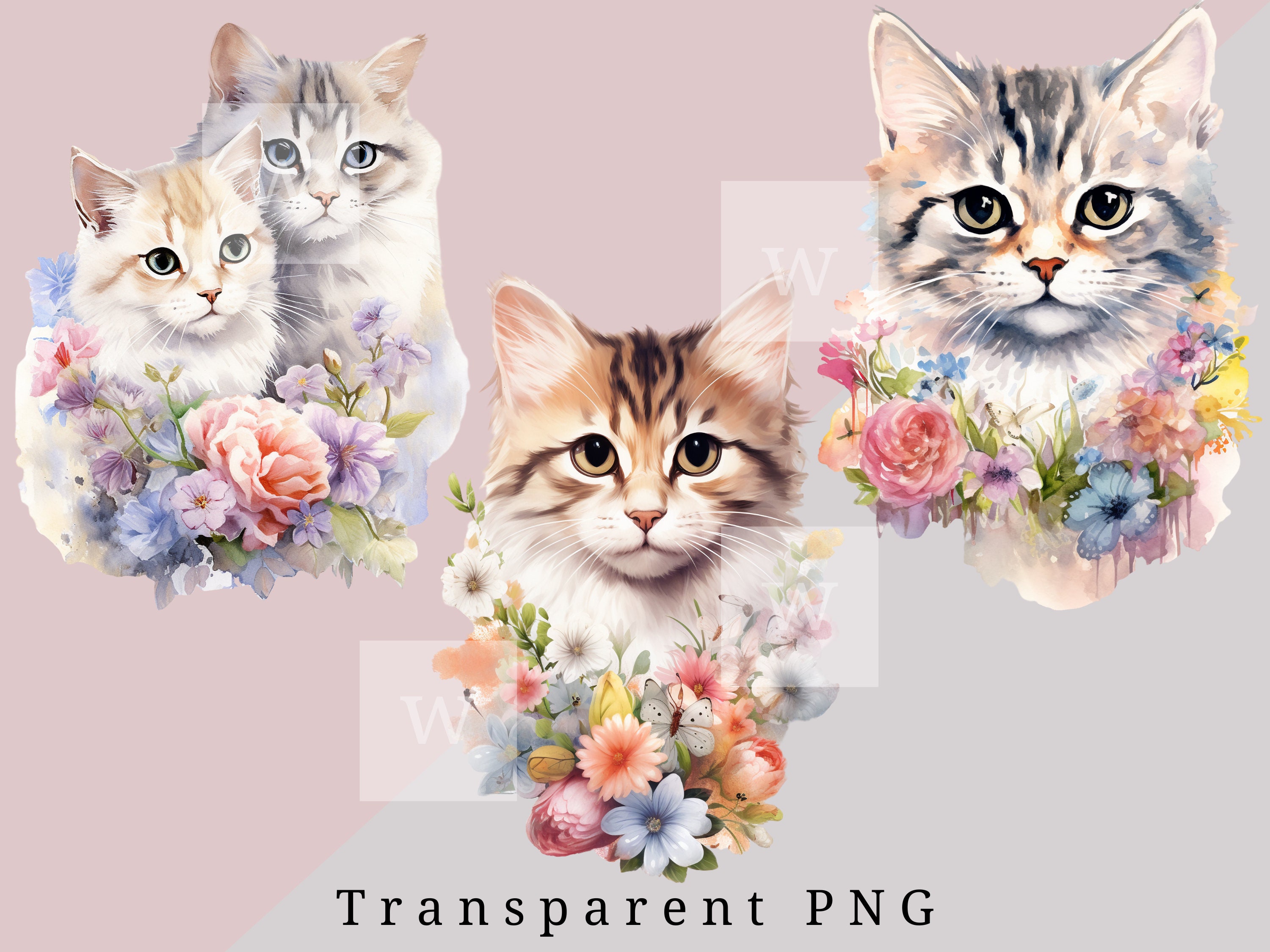 Floral Cat Clipart,wildflower Kitty Digital Graphics Watercolor ...