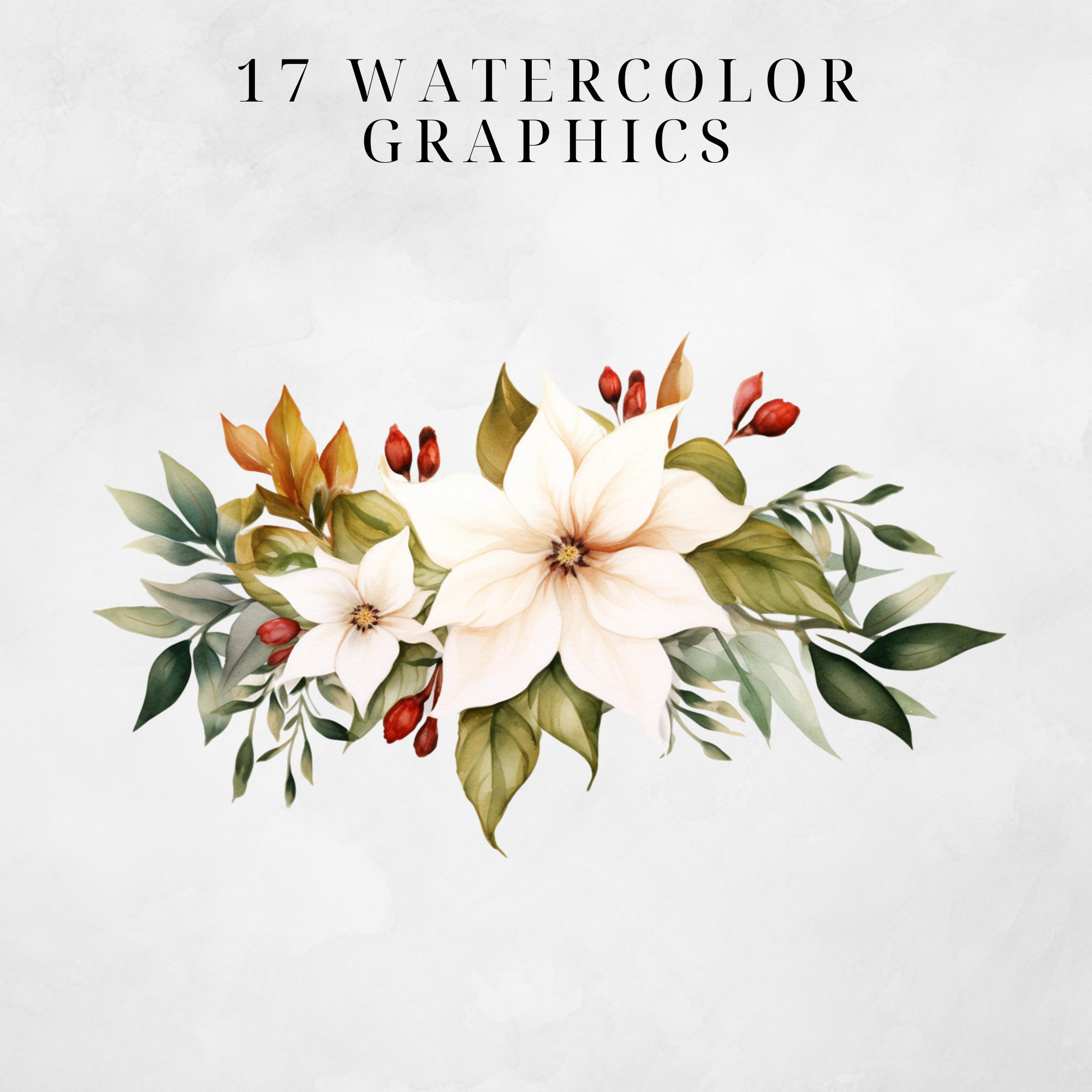 December Birth Flower Watercolor Clipart, Holiday Poinsettia Birthday ...