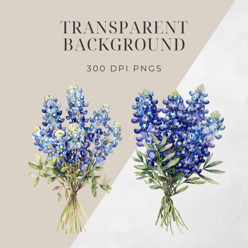 Bluebonnets Clipart, Watercolor Blue Floral Garden, Texas State Flower ...
