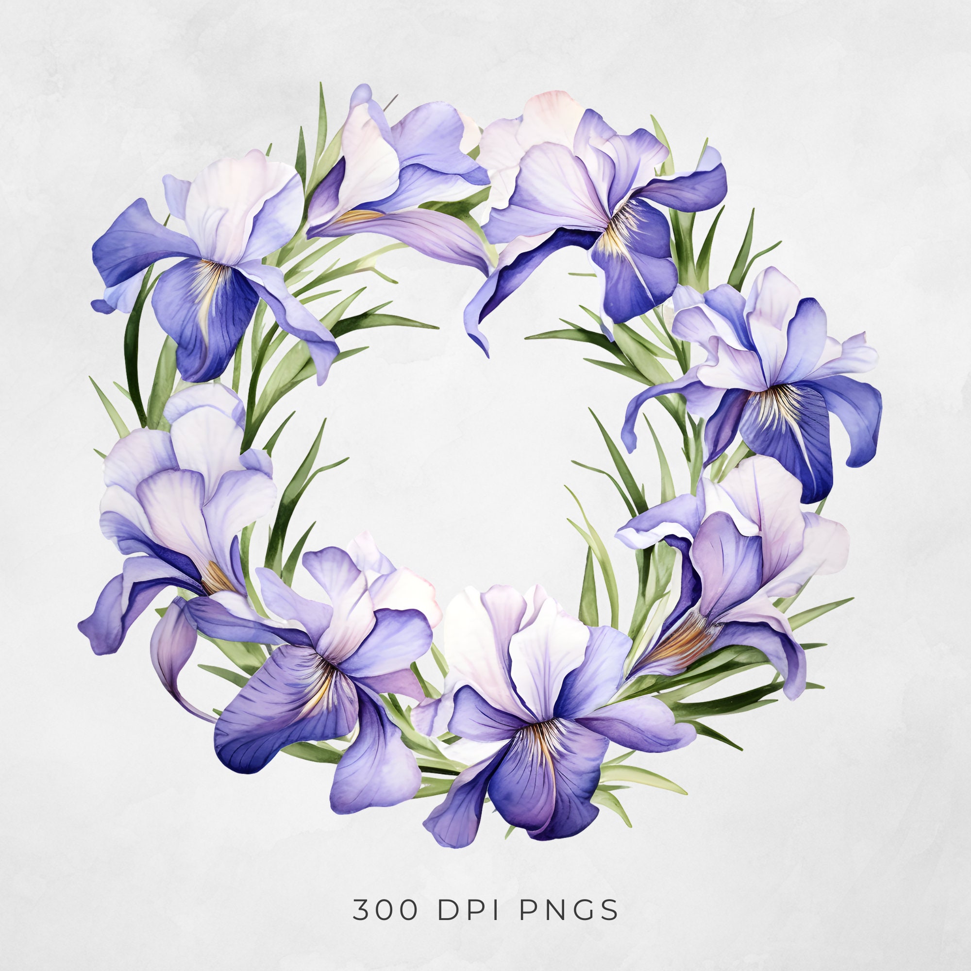 February Birth Flower Clipart, Watercolor Botanical Violet, Primrose ...