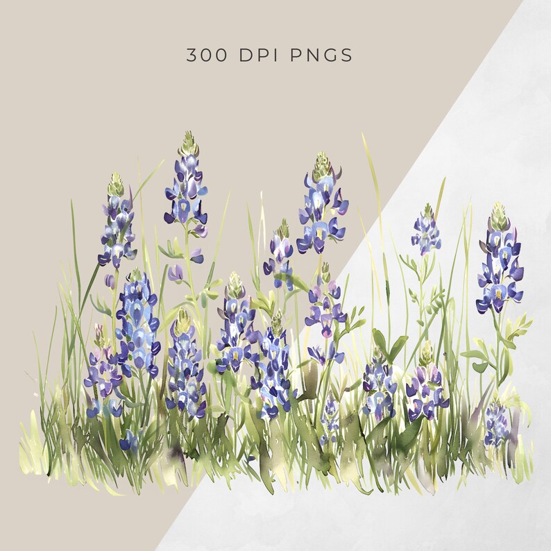 Bluebonnets Clipart, Watercolor Blue Floral Garden, Texas State Flower ...