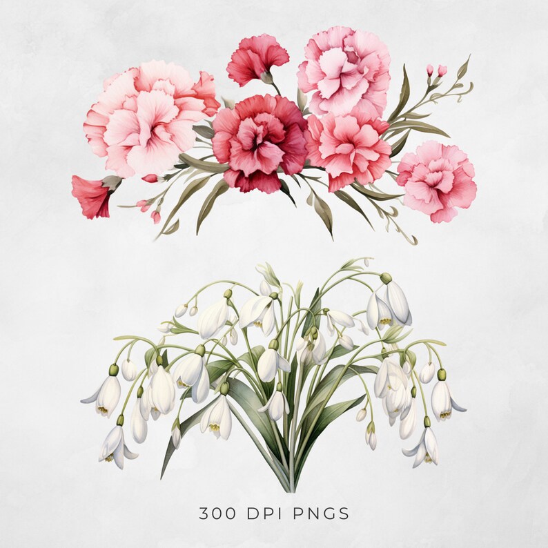 January Birth Flower Clipart, Watercolor Carnation Bouquet, Snowdrop ...