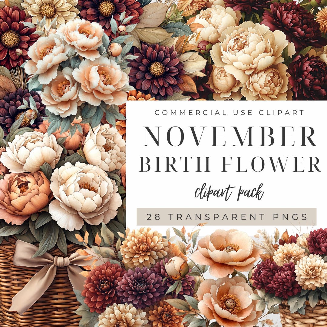 November Birth Month Flower Clipart,peony Transparent Png,chrysanthemum ...