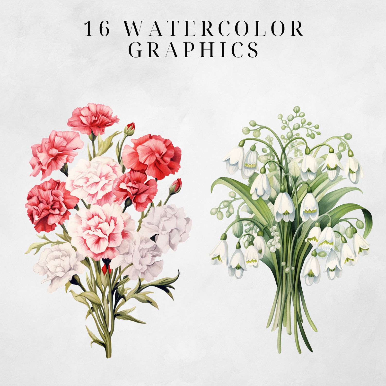 January Birth Flower Clipart, Watercolor Carnation Bouquet, Snowdrop ...