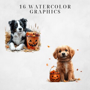 Dog Halloween Bucket PNG Clipart, Autumn Pumpkin Puppies Graphics, Fall ...