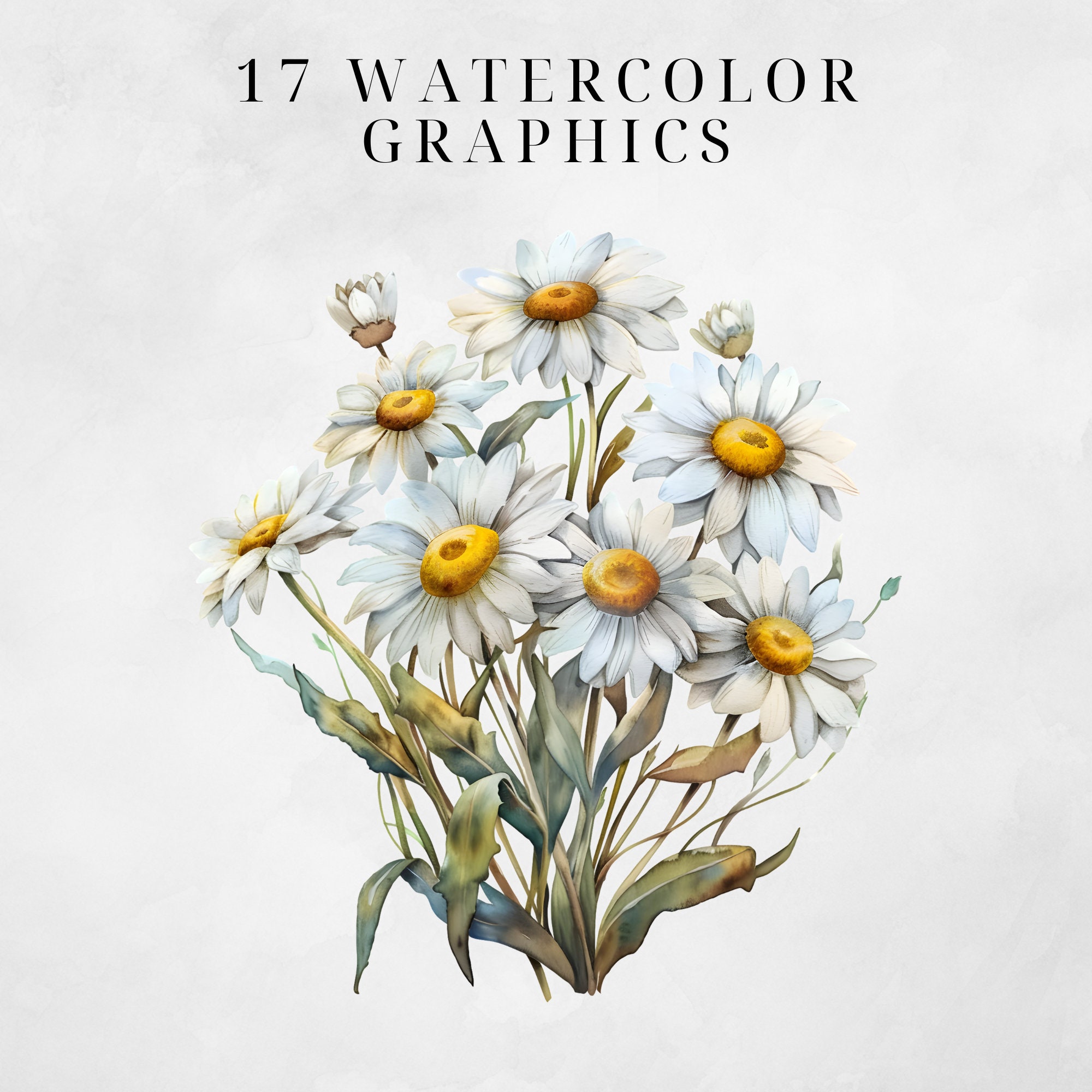 April Birth Flower Clipart, Watercolor Daisy Sweet Pea Floral Bouquet ...