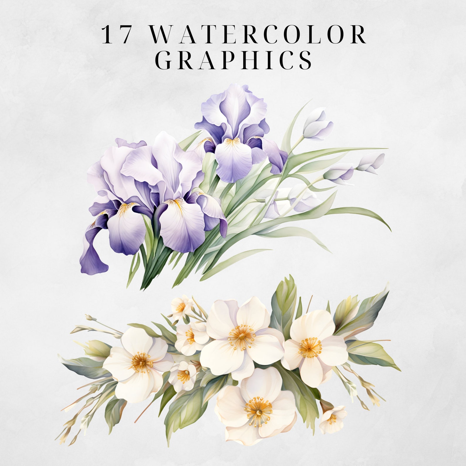 February Birth Flower Clipart, Watercolor Botanical Violet, Primrose ...