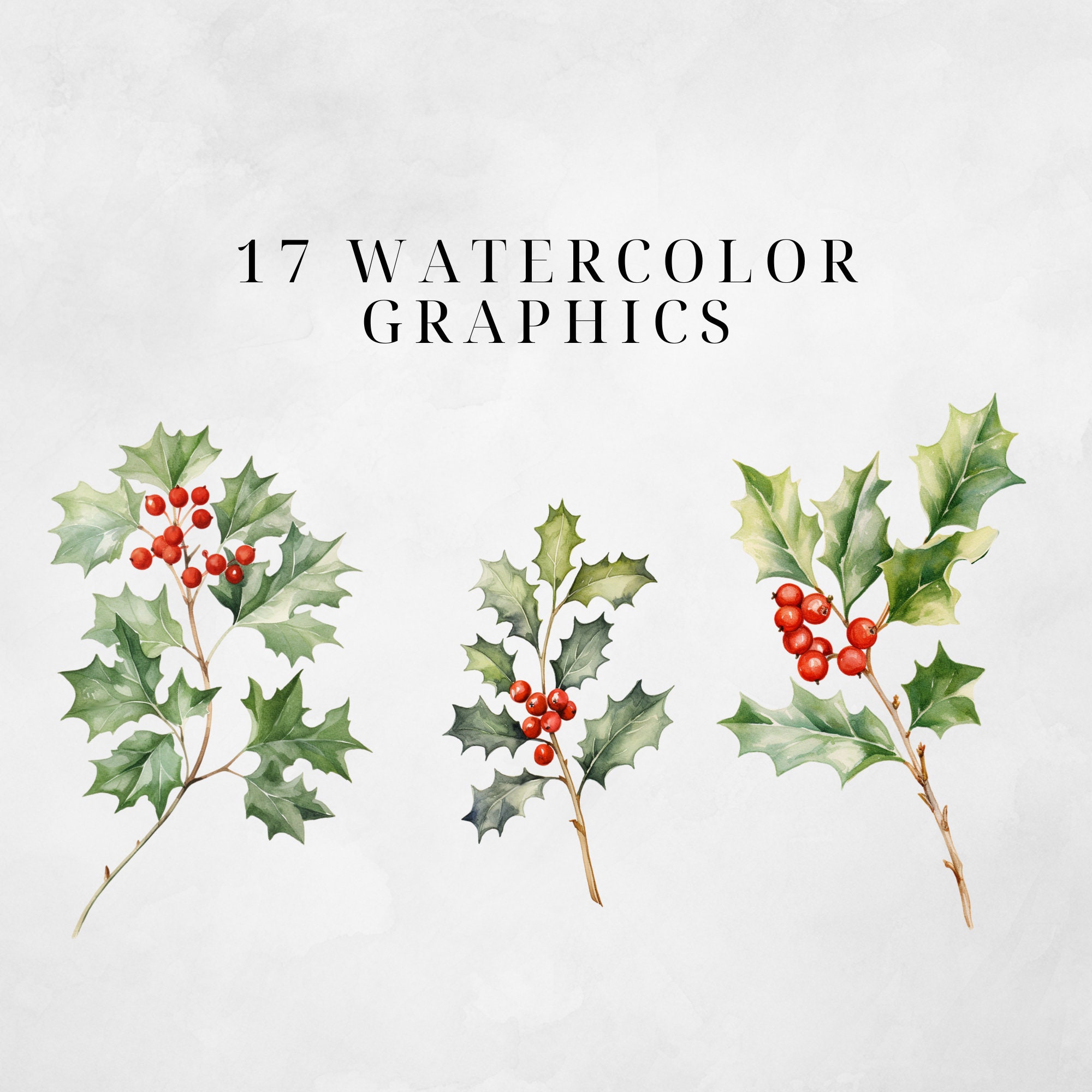 December Birth Flower Watercolor Clipart, Holiday Poinsettia Birthday ...