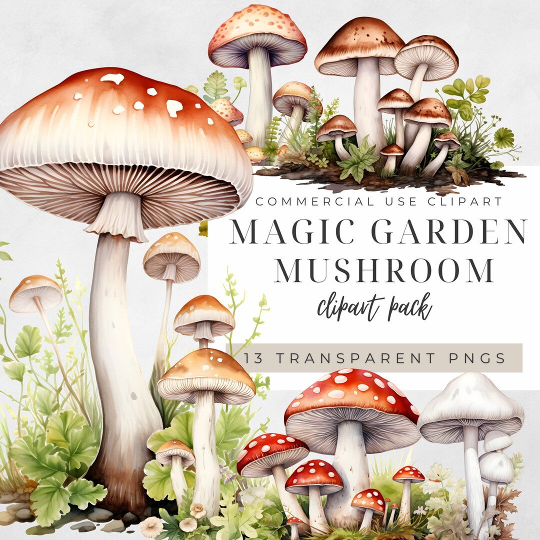 Garden Mushroom Clipart, Watercolor Magic Spotted Toadstool, Nature ...