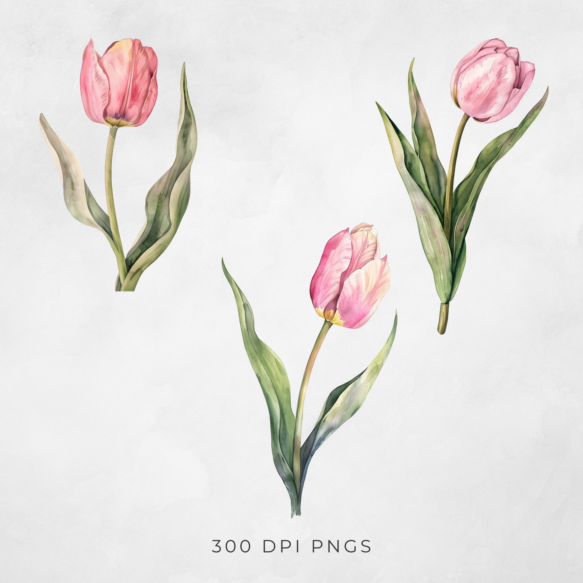 Spring Tulip Flower Clipart, Watercolor Yellow Purple Floral Wreath ...