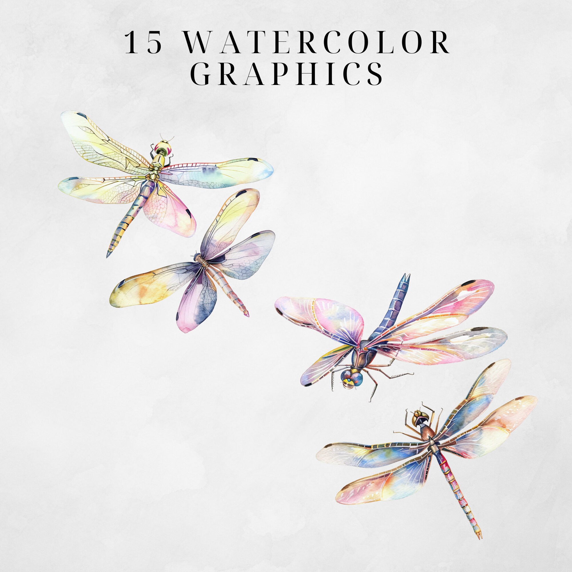 Dragonfly Png Clipart Collection Bundle, Printable Garden Insect ...