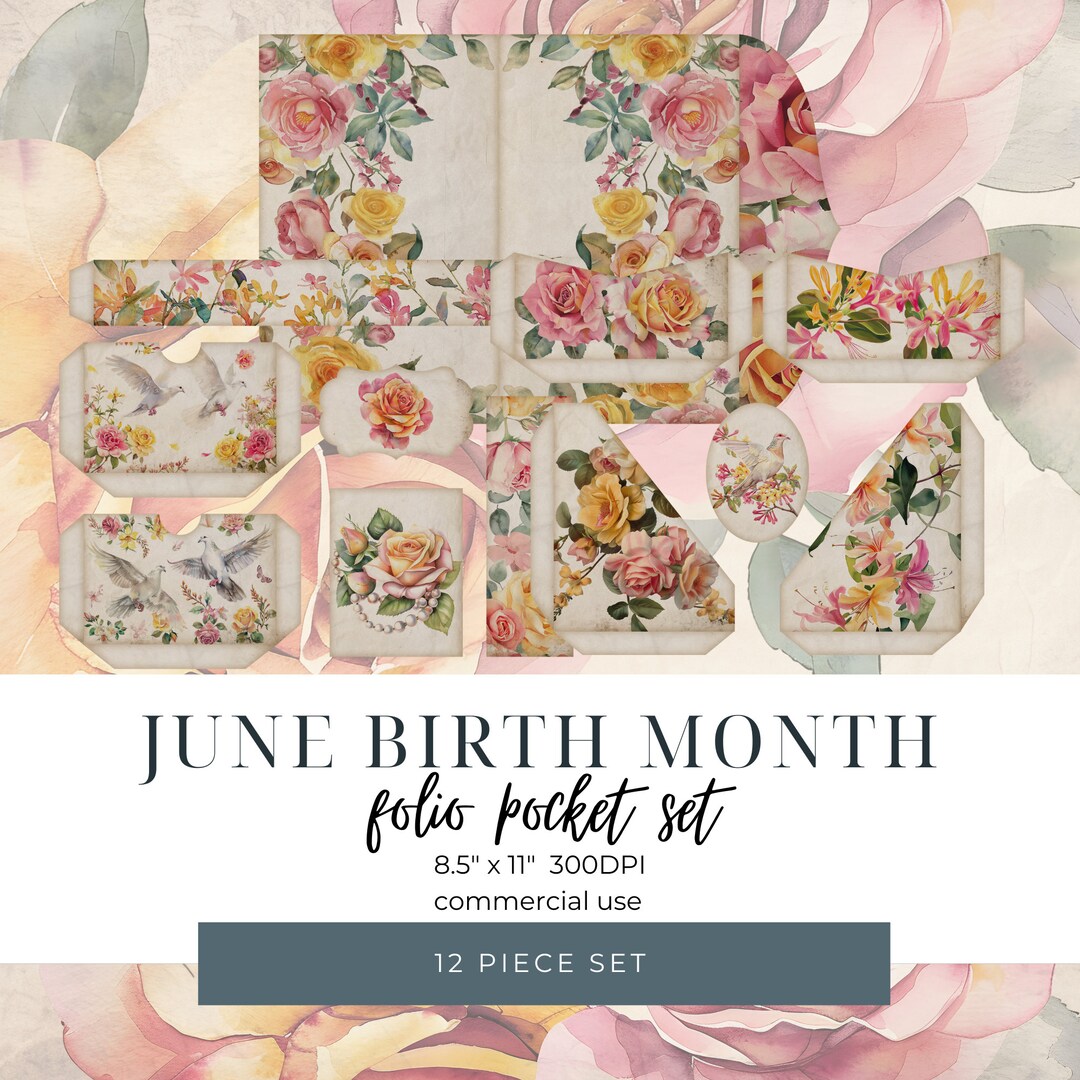 June Birth Month Art Journal Folio 12 Piece Pocket Set, Rose ...