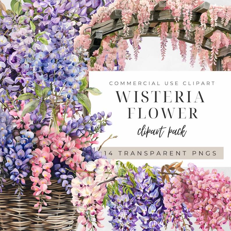 Wisteria Flower Clipart, Purple Pink Floral Png, Spring Summer Blooming ...