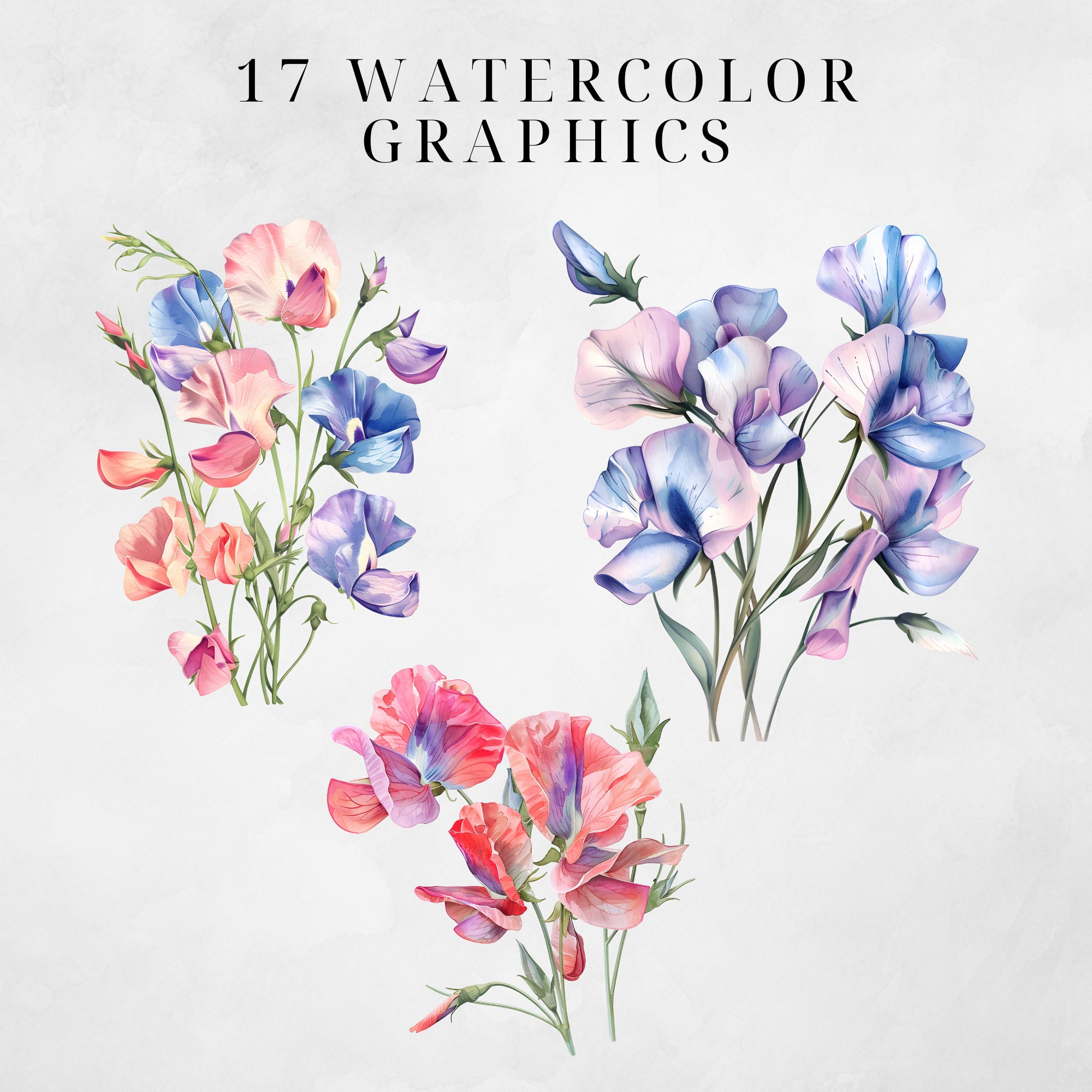 April Birth Flower Clipart, Watercolor Daisy Sweet Pea Floral Bouquet ...